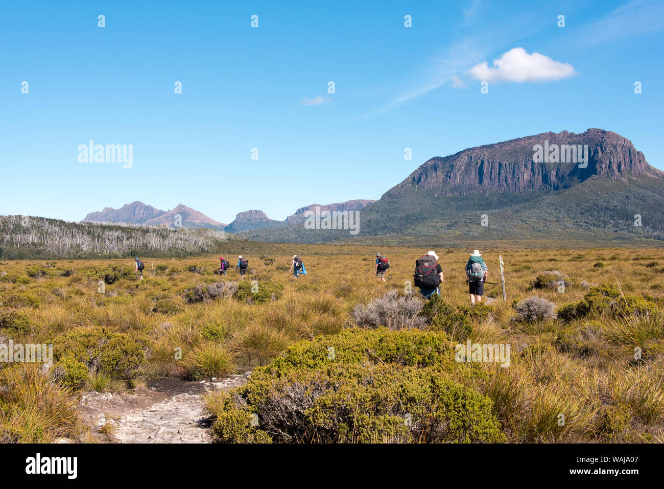 Australia, Tasmania, Cradle Mountain-Lake St Clair National Park ...