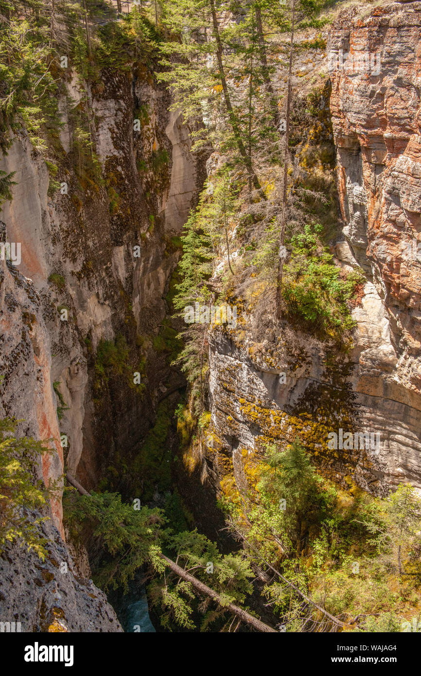 Jasper National Park, Alberta, Canada. Maligne Canyon near Jasper Stock ...