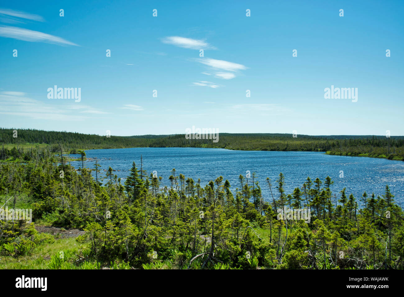 Canada, Nova Scotia. Cape Breton Highlands National Park, French Lake ...