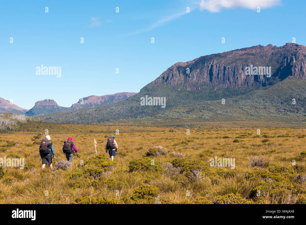 Australia, Tasmania. Cradle Mountain-Lake St. Clair National Park ...