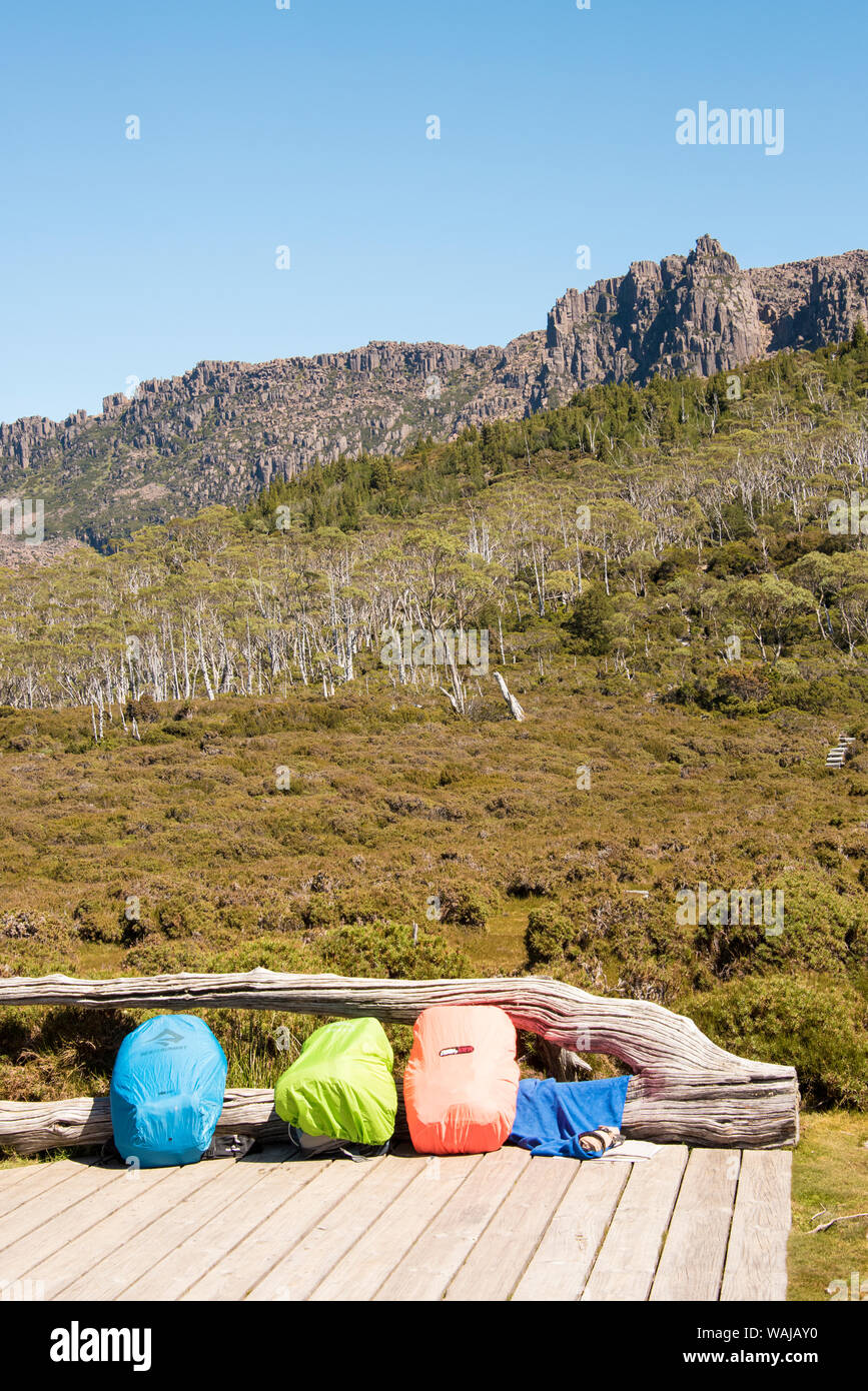 Australia, Tasmania. Cradle Mountain-Lake St. Clair National Park ...