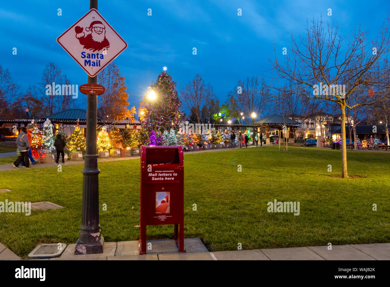 Christmas-lit trees lining a path with Santa's mailbox in front Stock ...