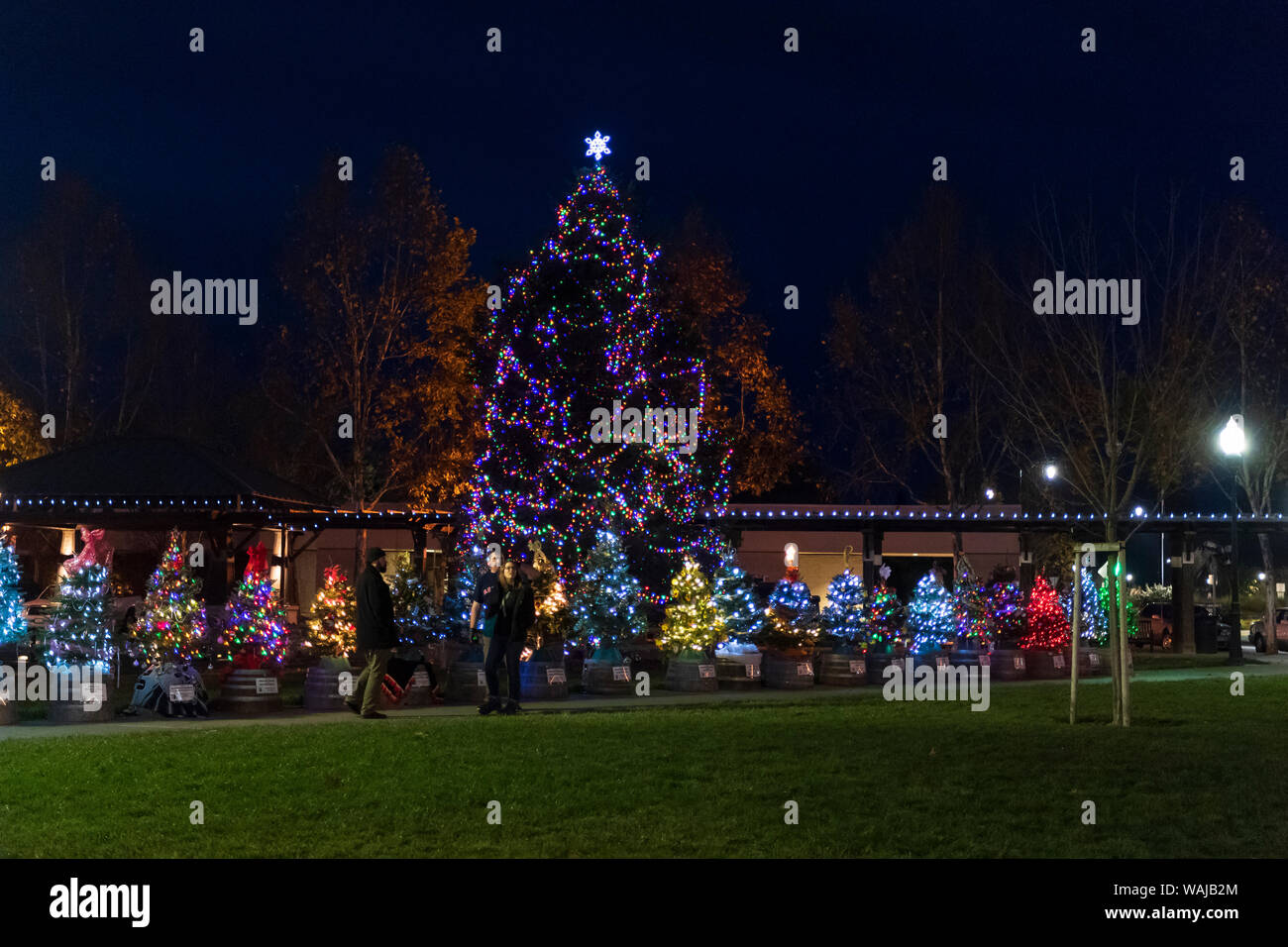 Lit Christmas trees lining path with people Stock Photo - Alamy