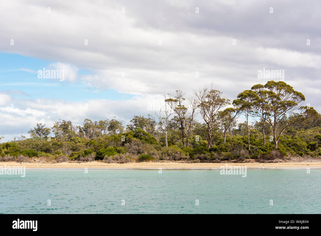 Australia, Tasmania, Tasman Peninsula, Fortescue Bay. Pristine beach ...