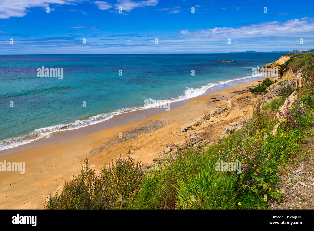 Kakanui beach hi-res stock photography and images - Alamy