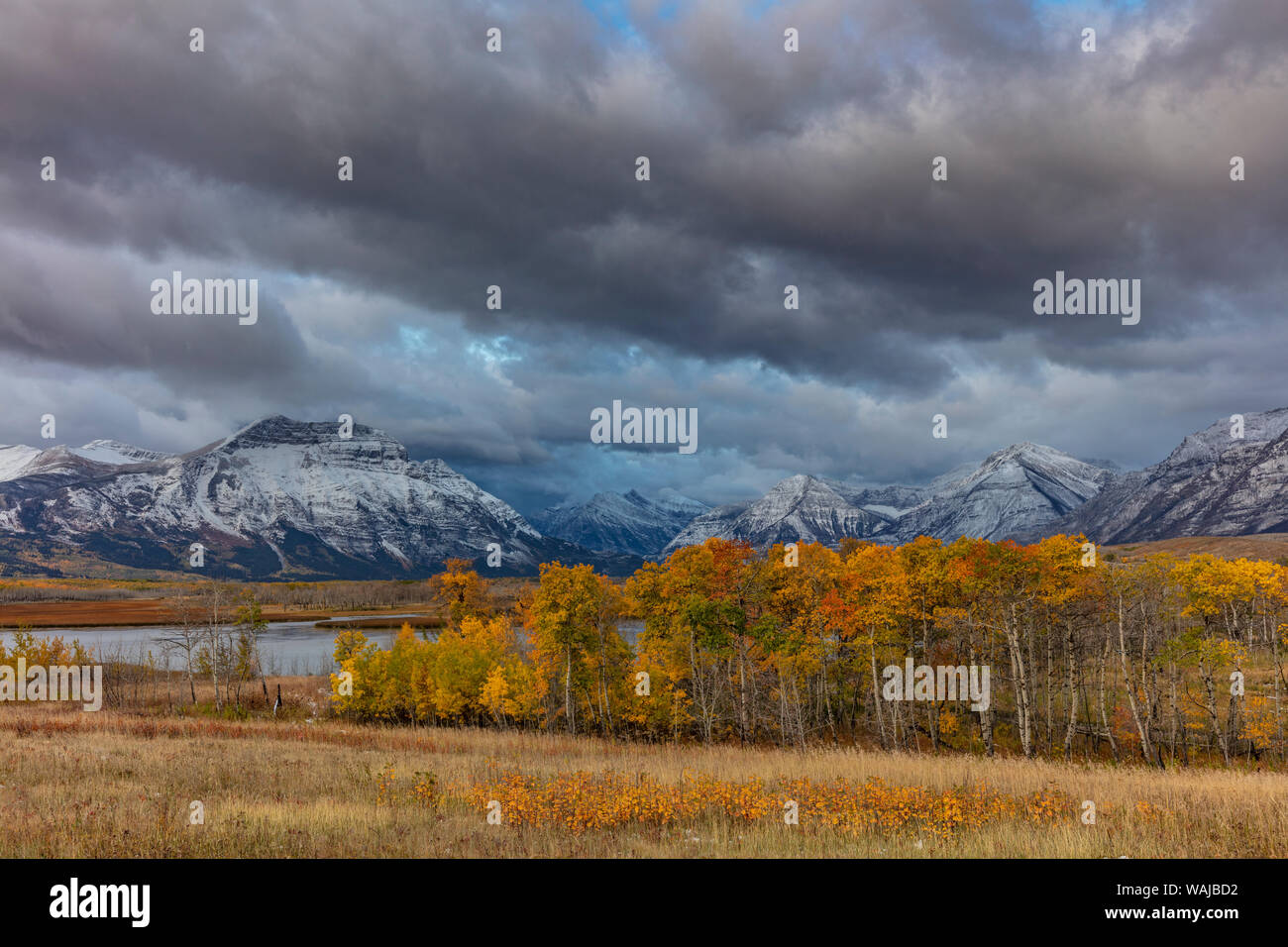 Maskinonge hi-res stock photography and images - Alamy