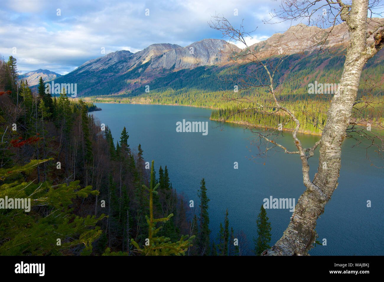 Azouzetta Lake and the Murray Range in Pine Pass on Highway 97, the ...