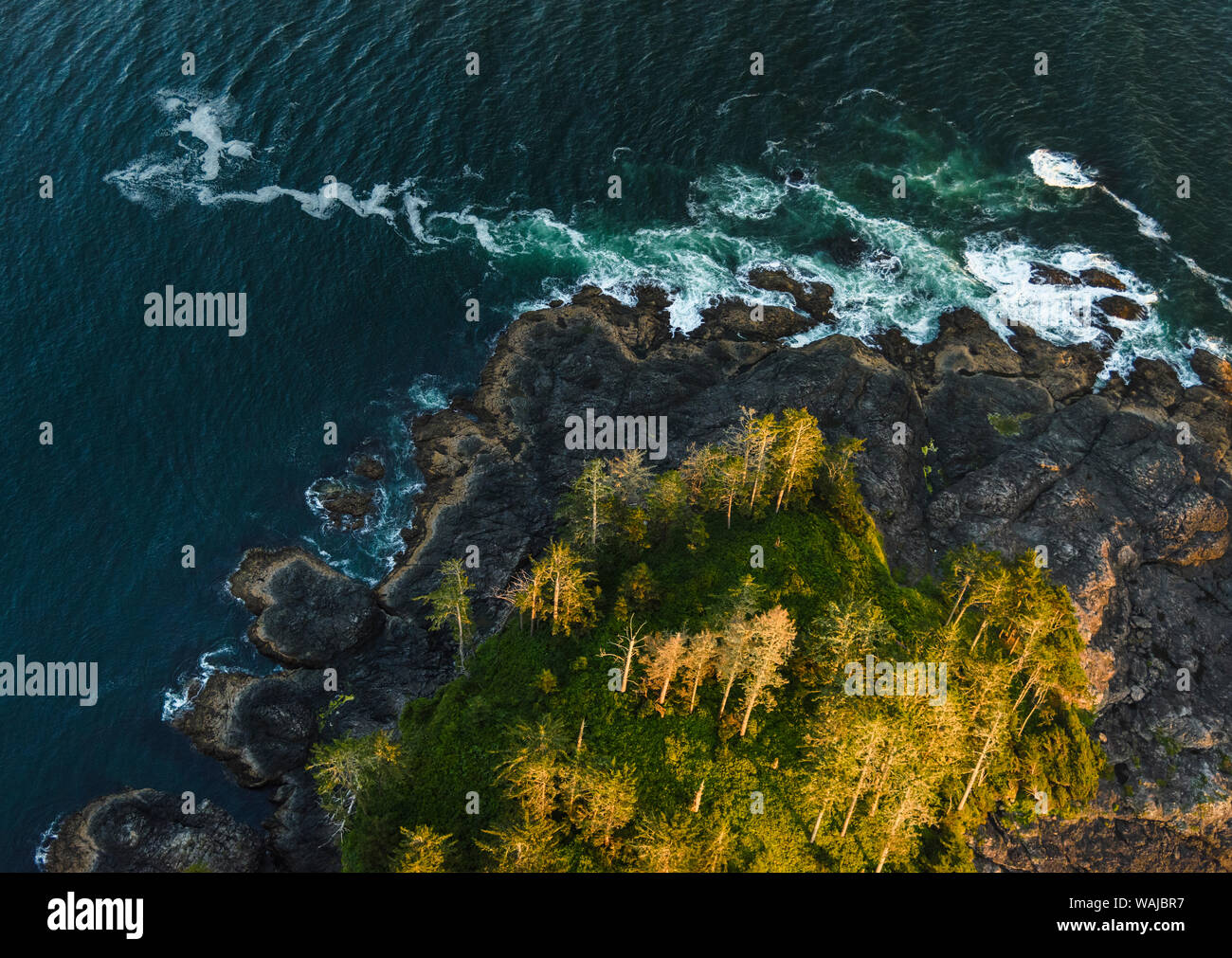 Pacific rim national reserve hi-res stock photography and images - Alamy