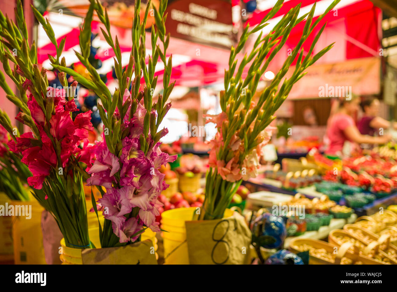Jean Talon Flower Market High Resolution Stock Photography and Images ...