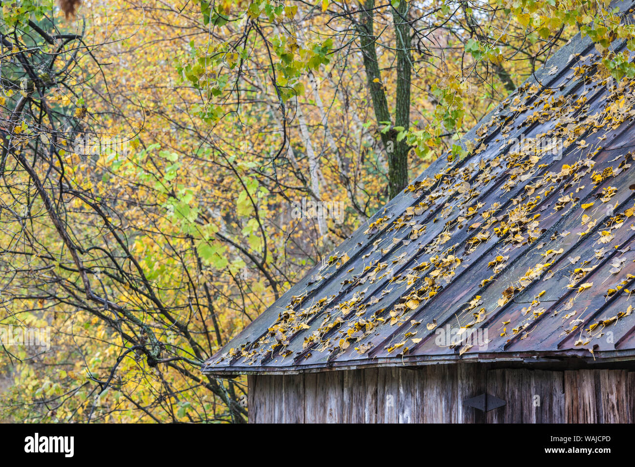 Deschambault hi-res stock photography and images - Alamy