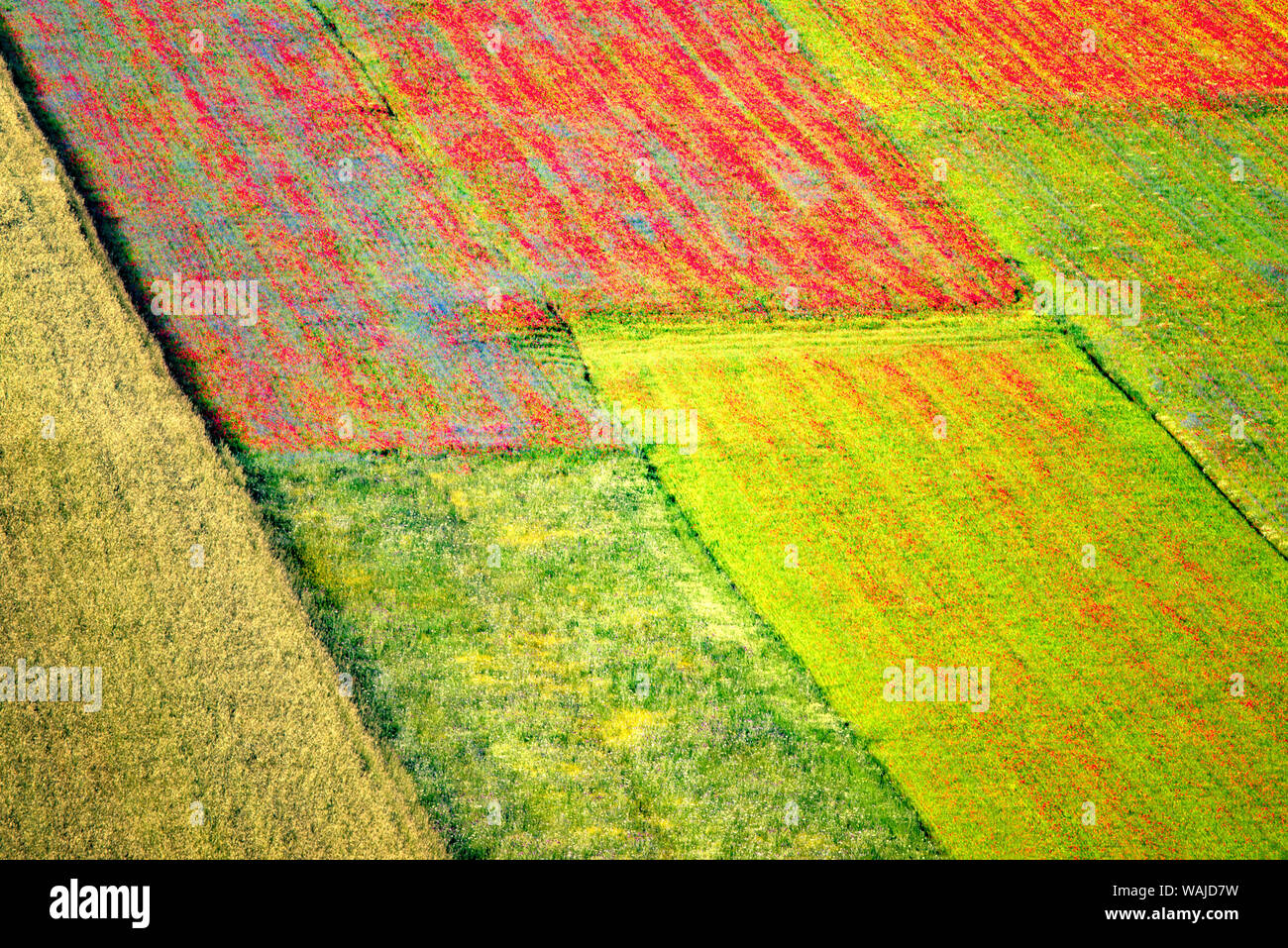 Aerial field patterns hi-res stock photography and images - Alamy