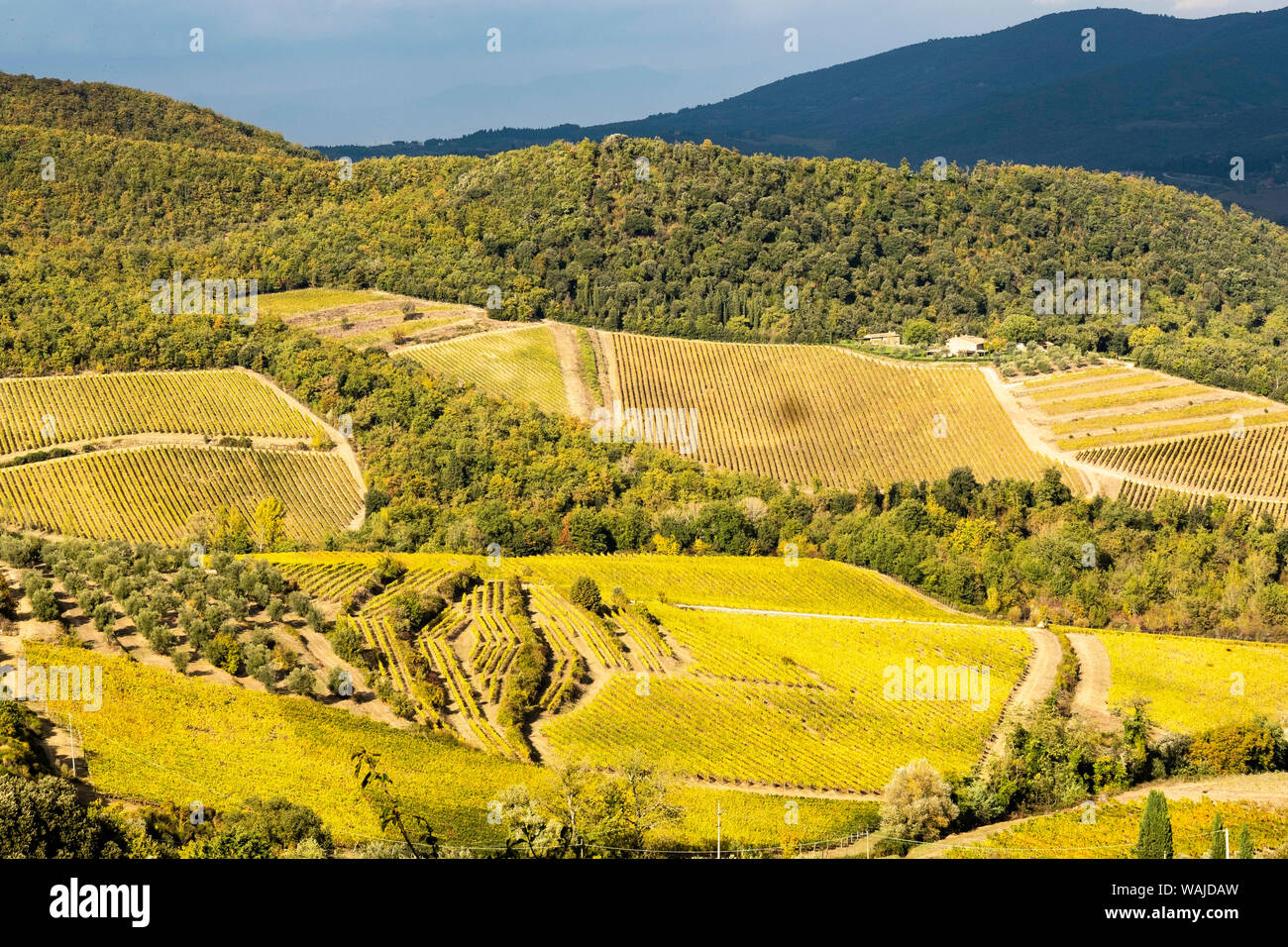 Tuscan valley hi-res stock photography and images - Alamy