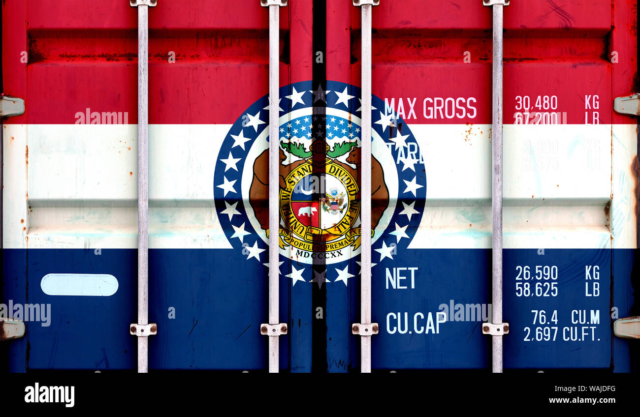 The national flag of the US state Missouri in a container doors on the ...