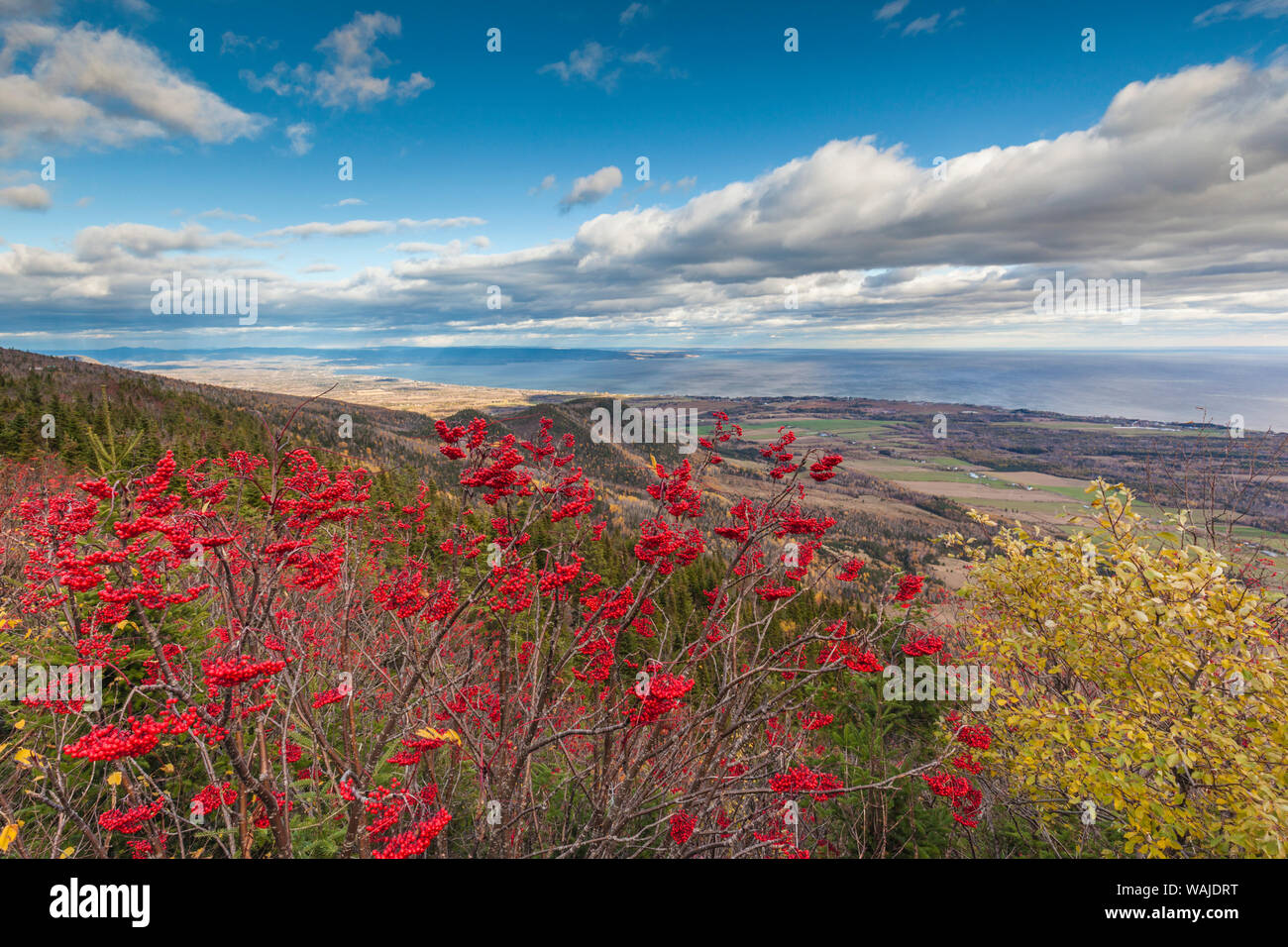 Canada, Quebec, Carleton-sur-Mer. Elevated view from Mont-St-Joseph ...