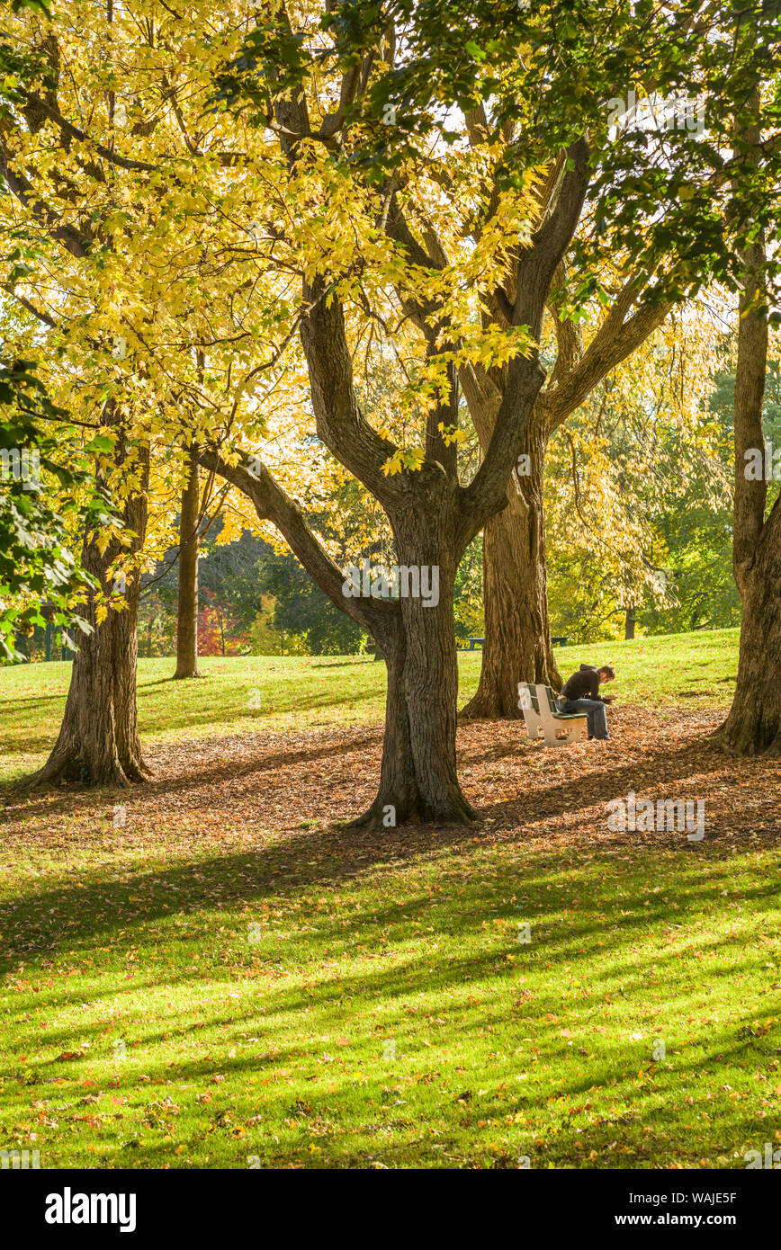 Canada, Quebec, Quebec City. Plains of Abraham Stock Photo - Alamy