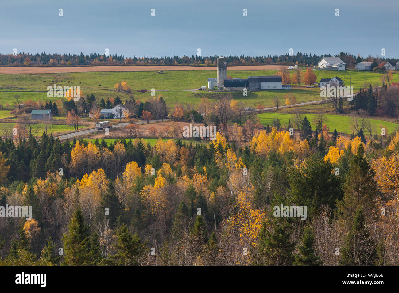 Canada, Quebec, Wilson. Farm by Rt. 269 Stock Photo - Alamy