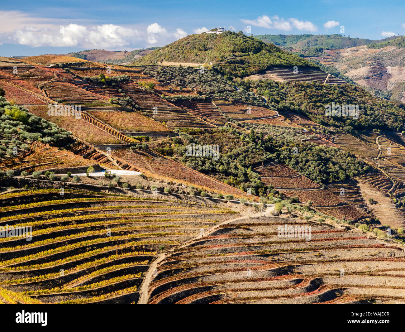 Terraced vineyards of the douro valley hi-res stock photography and ...