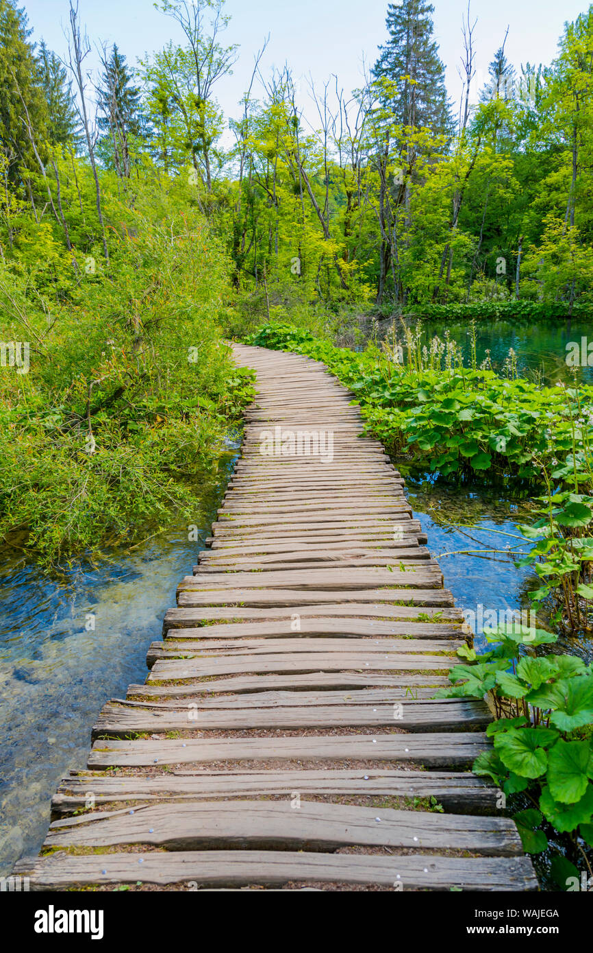 Walkway over water hi-res stock photography and images - Alamy