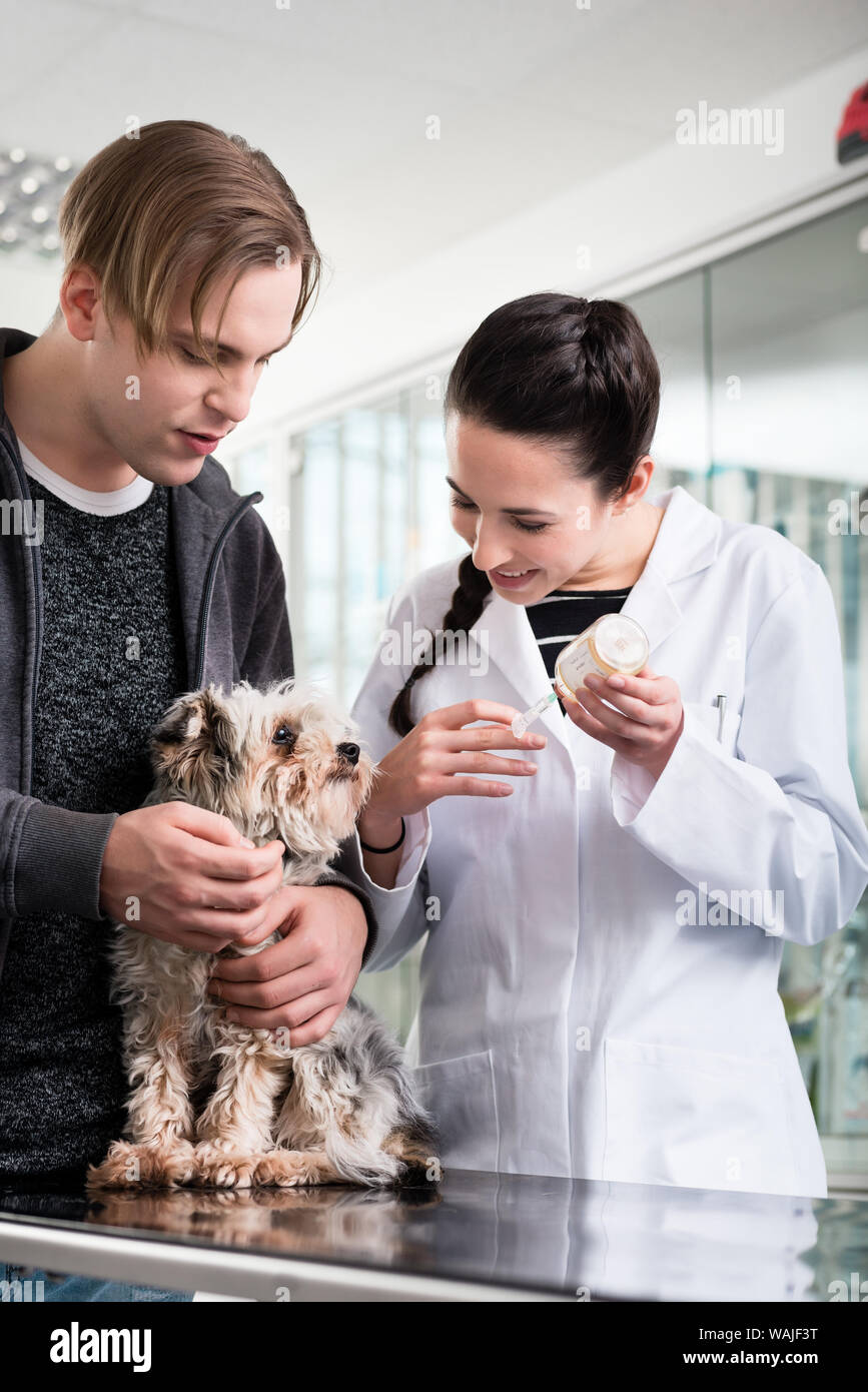 Female veterinarian talking with sick dog Stock Photo - Alamy