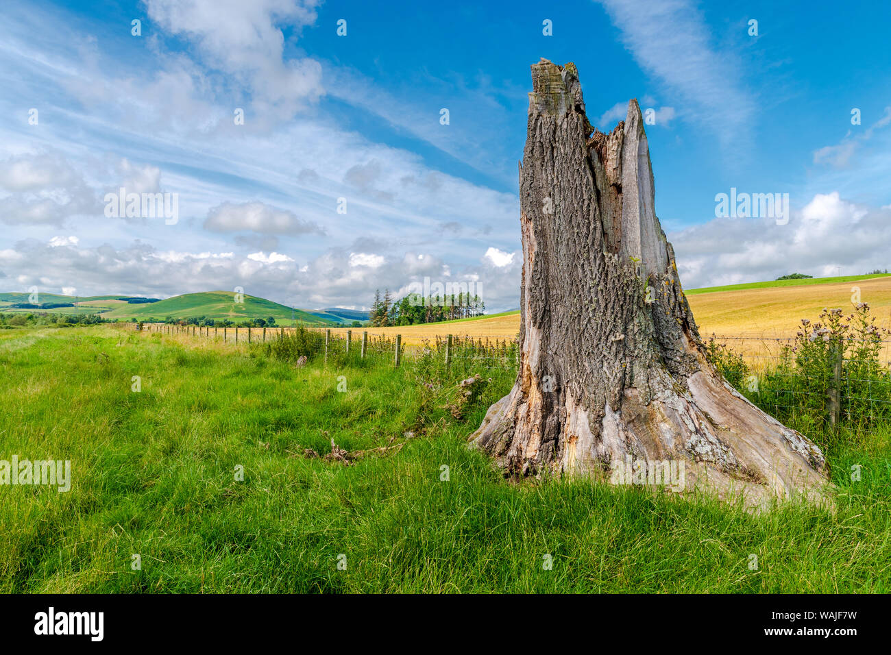 Dead crops hi-res stock photography and images - Alamy