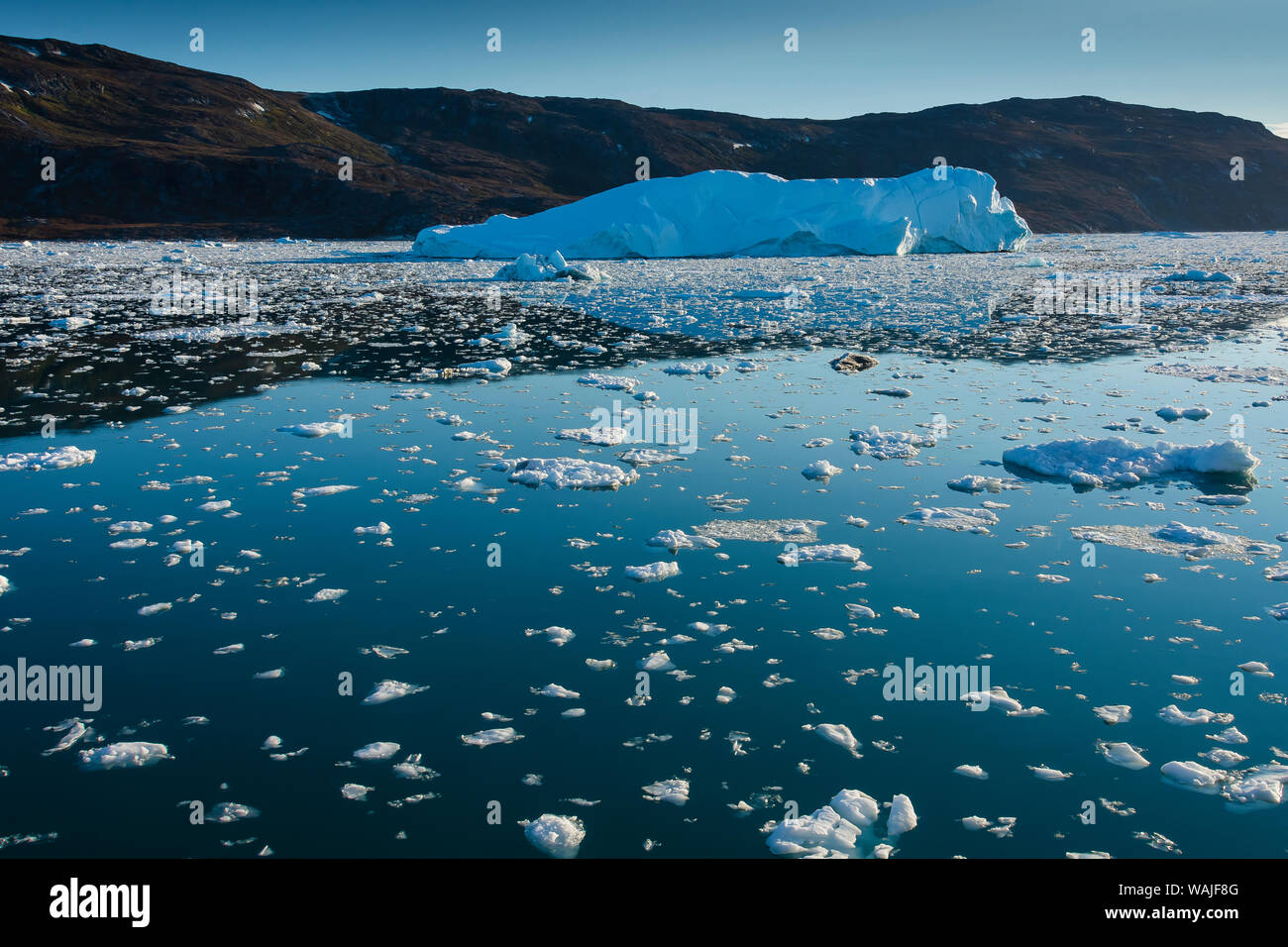 Greenland. Eqip Sermia. Icebergs and brash ice Stock Photo - Alamy
