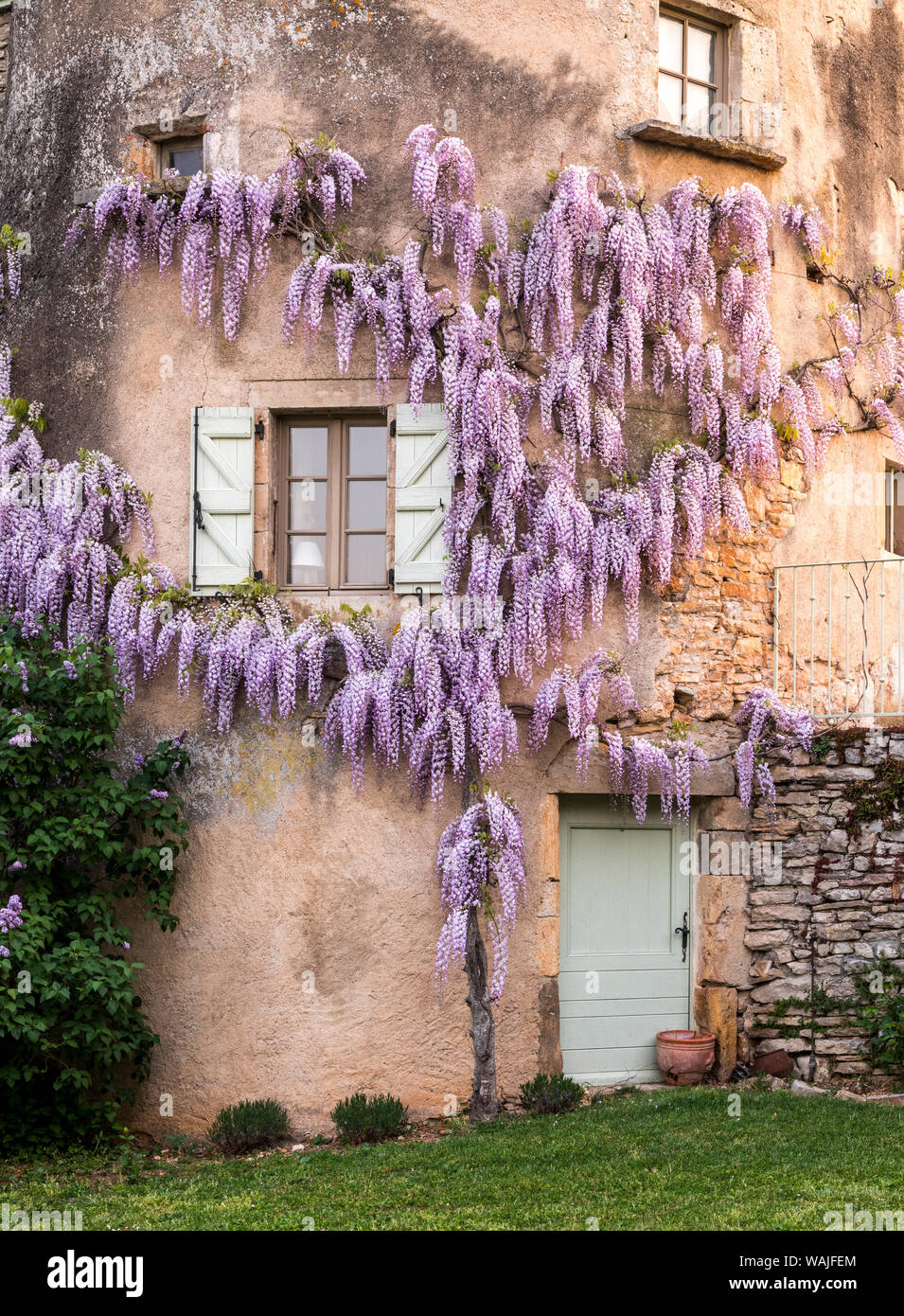 Garrigue france hi-res stock photography and images - Alamy