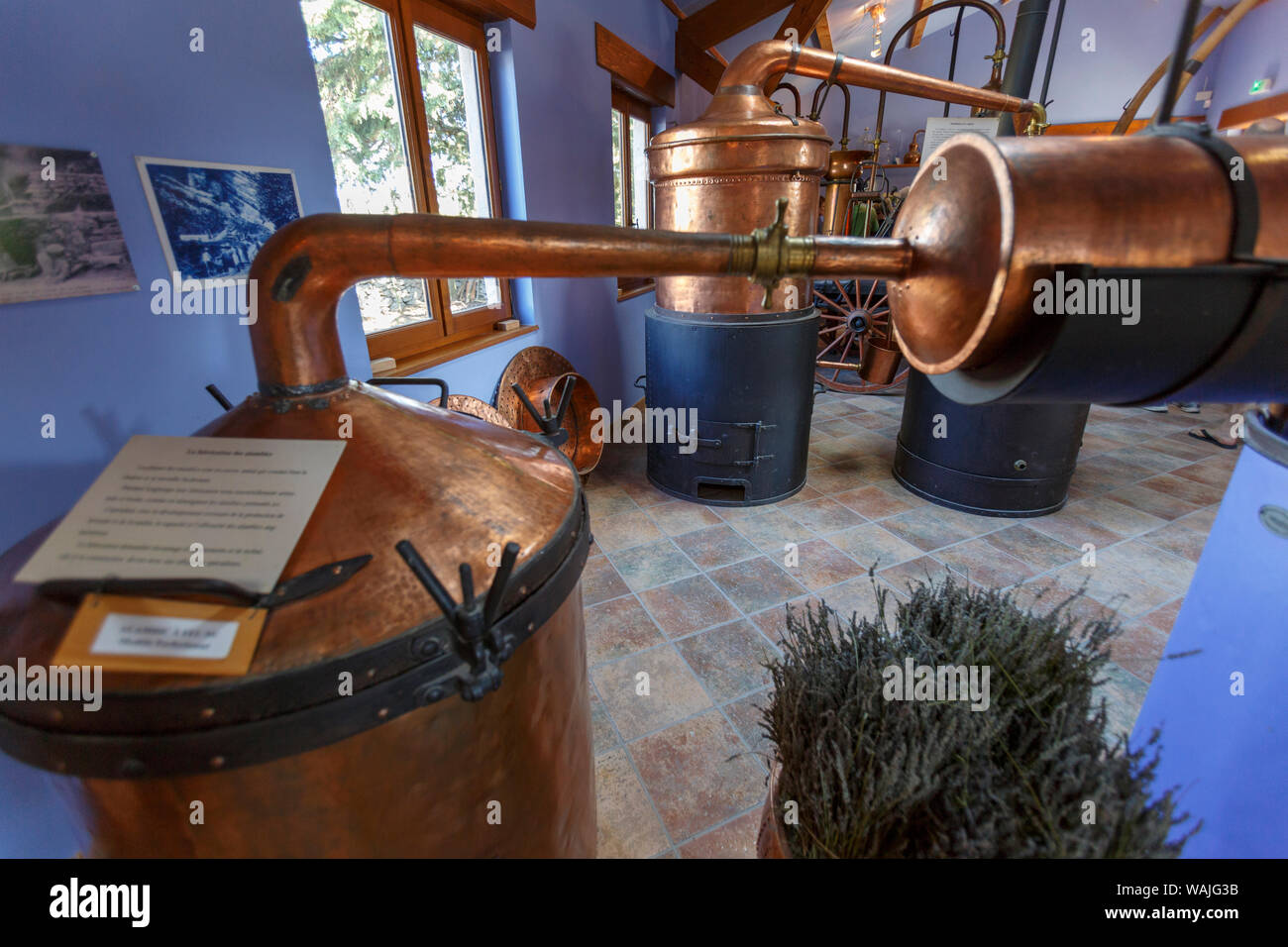 Lavender Oil production equipment. L'Ardeche, France. (Editorial Use ...