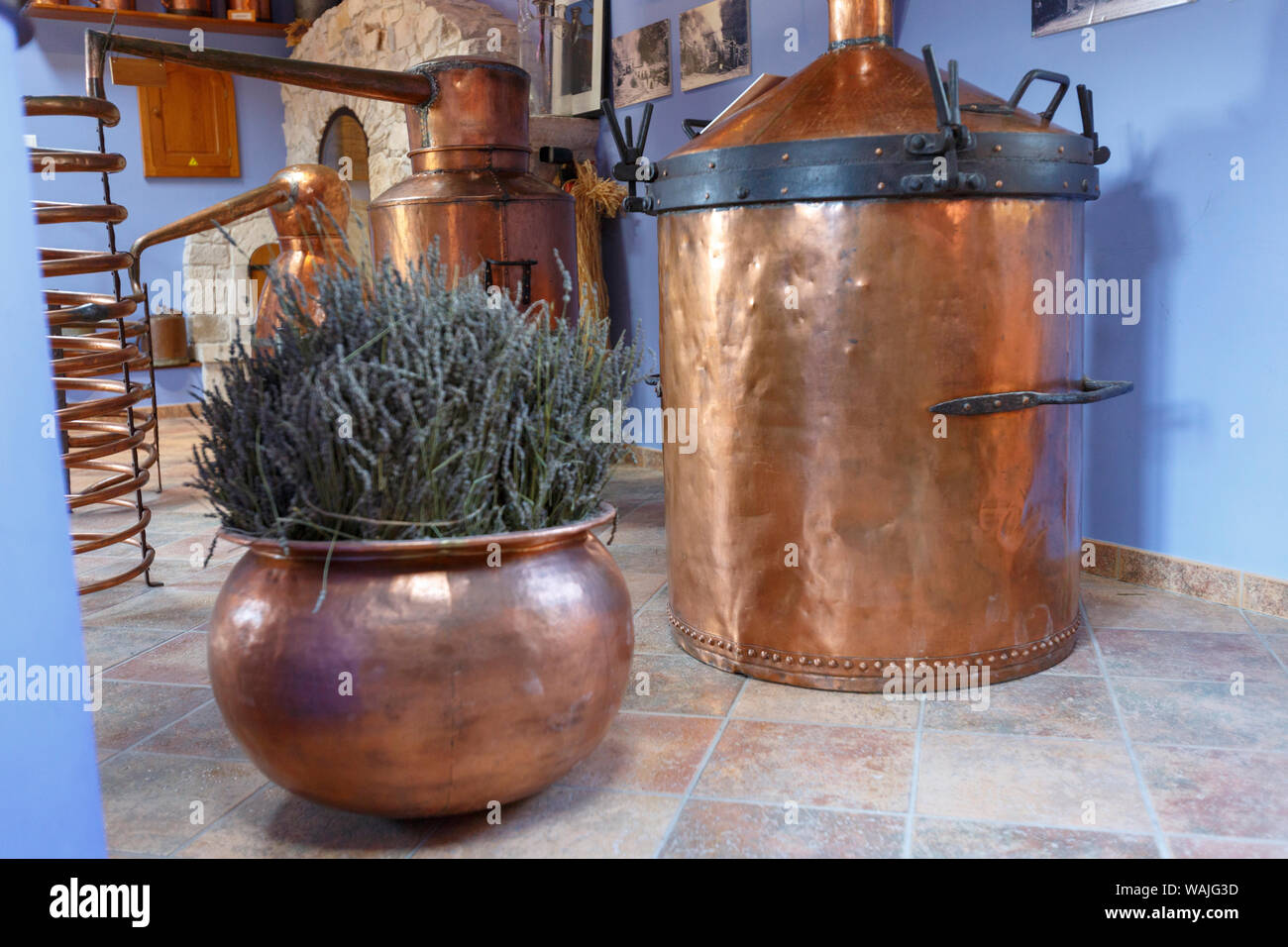 Lavender Oil production equipment. L'Ardeche, France. (Editorial Use ...