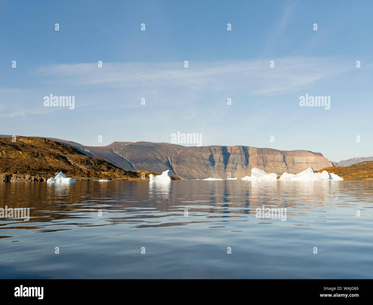 Landscape with steep yellow cliffs and icebergs in the Uummannaq fjord ...