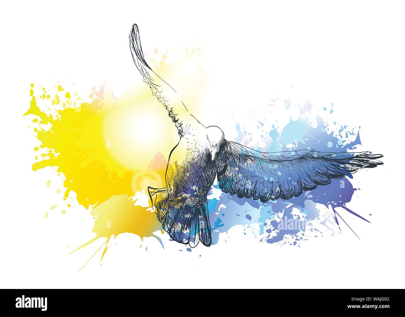 Birds flying. Hand drawn illustration Stock Vector Image & Art - Alamy