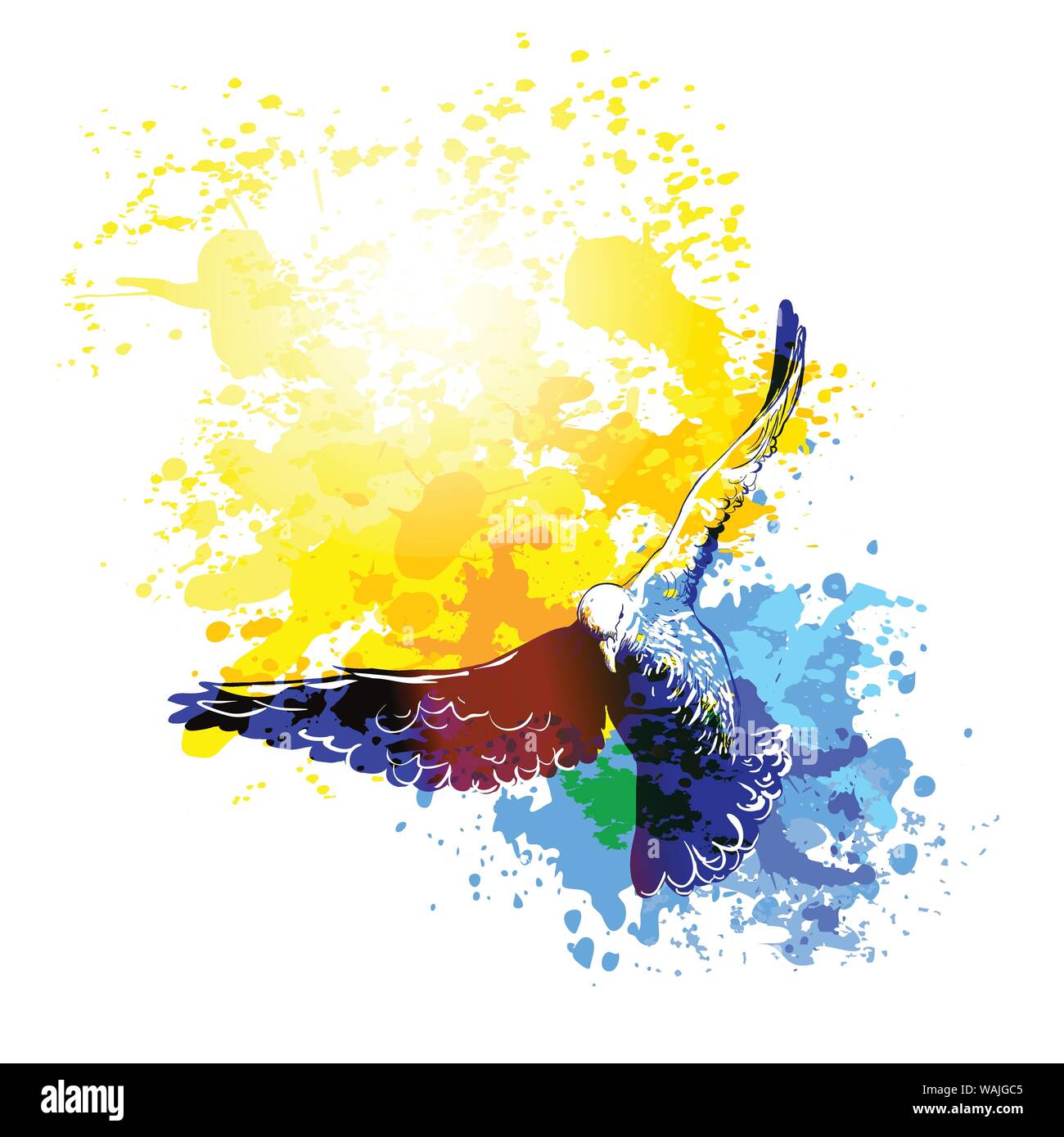 Birds flying. Hand drawn illustration Stock Vector Image & Art - Alamy