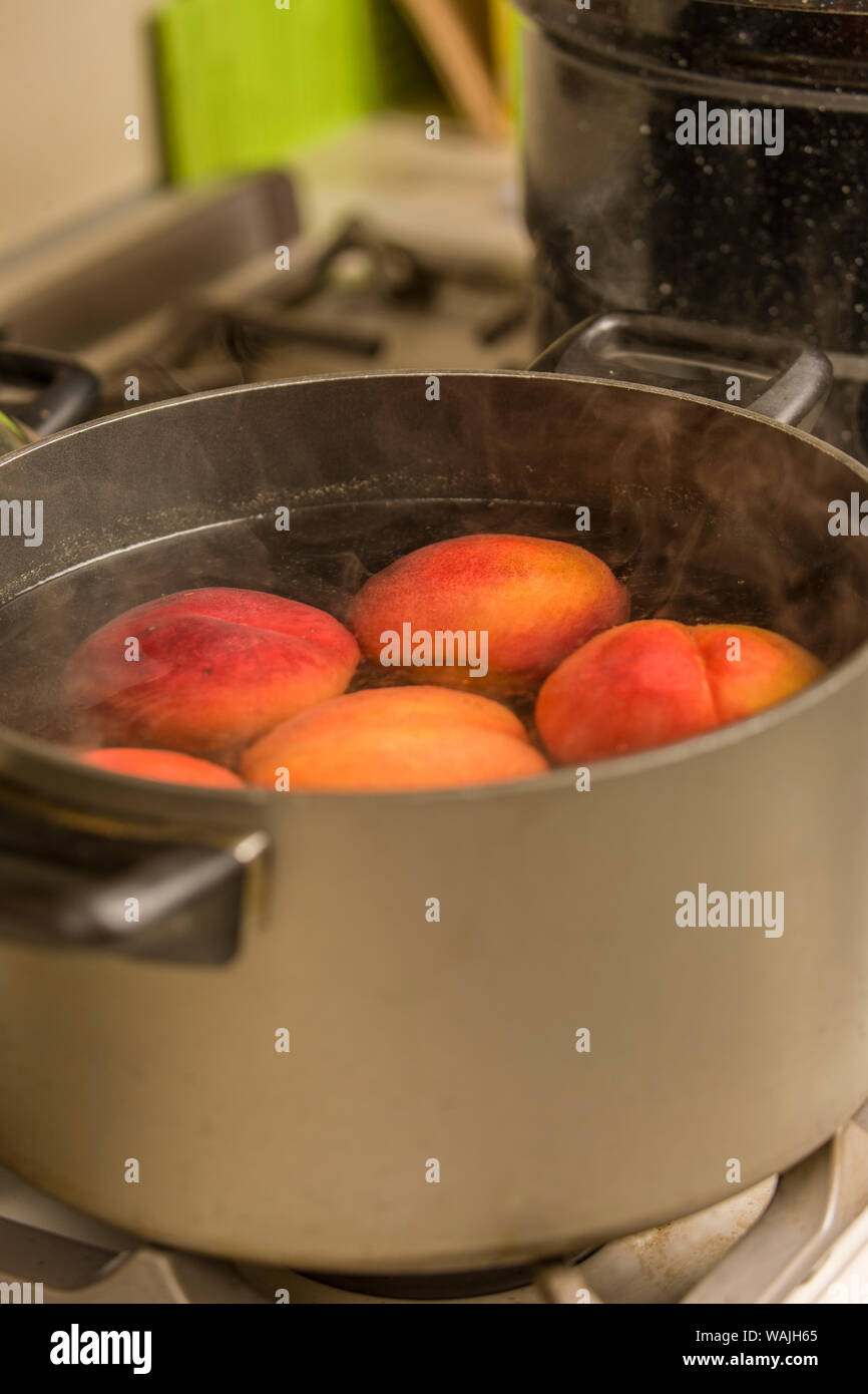 Peaches in a pot of boiling water that are being blanched, after which ...