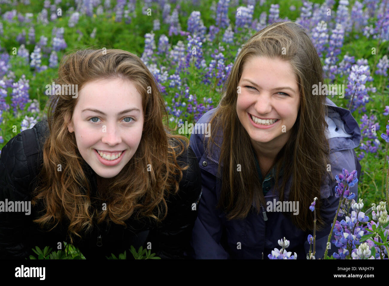 Iceland model hi-res stock photography and images - Alamy