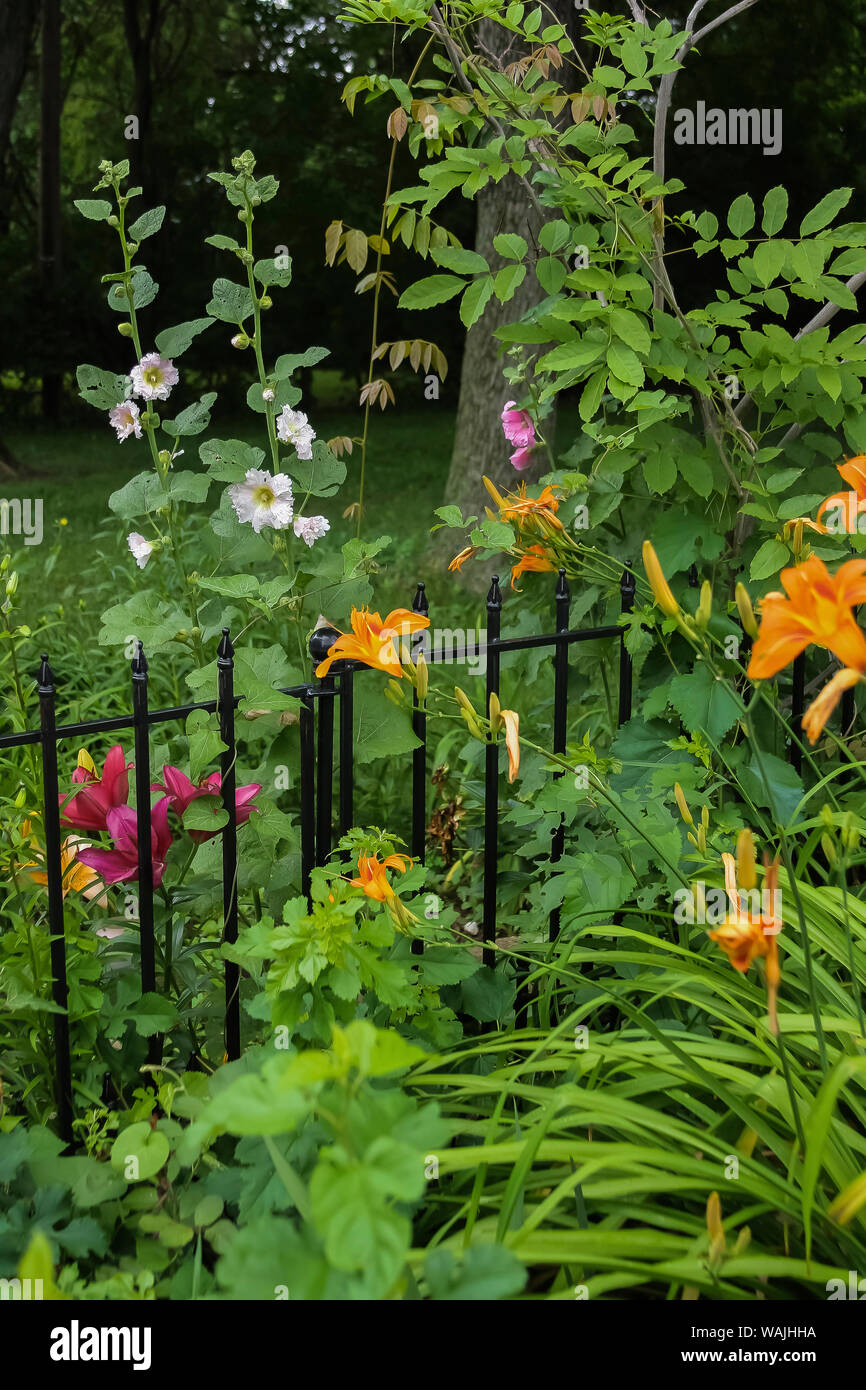 Flower garden with rod iron fence Stock Photo - Alamy