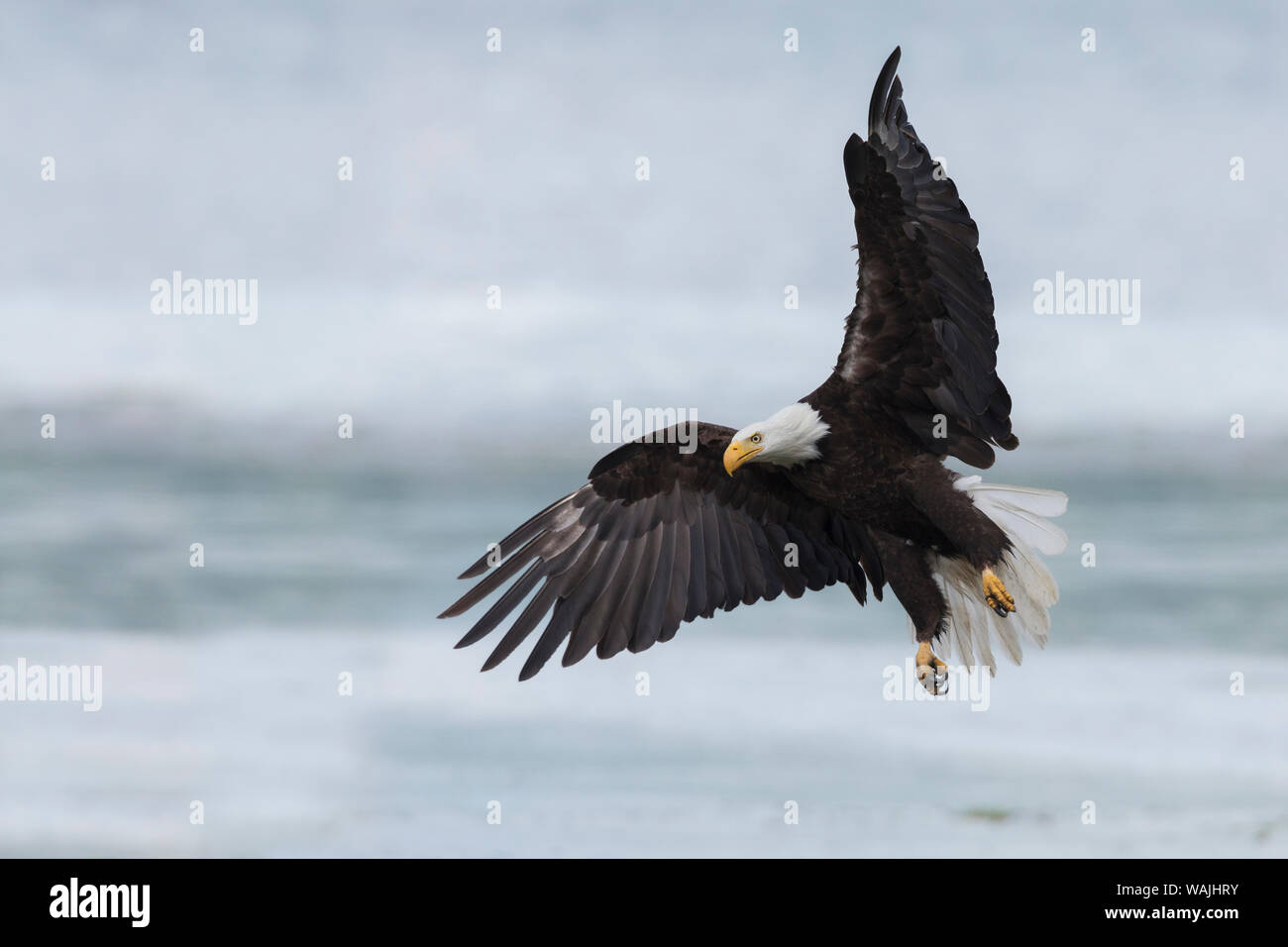 Alighting hi-res stock photography and images - Alamy