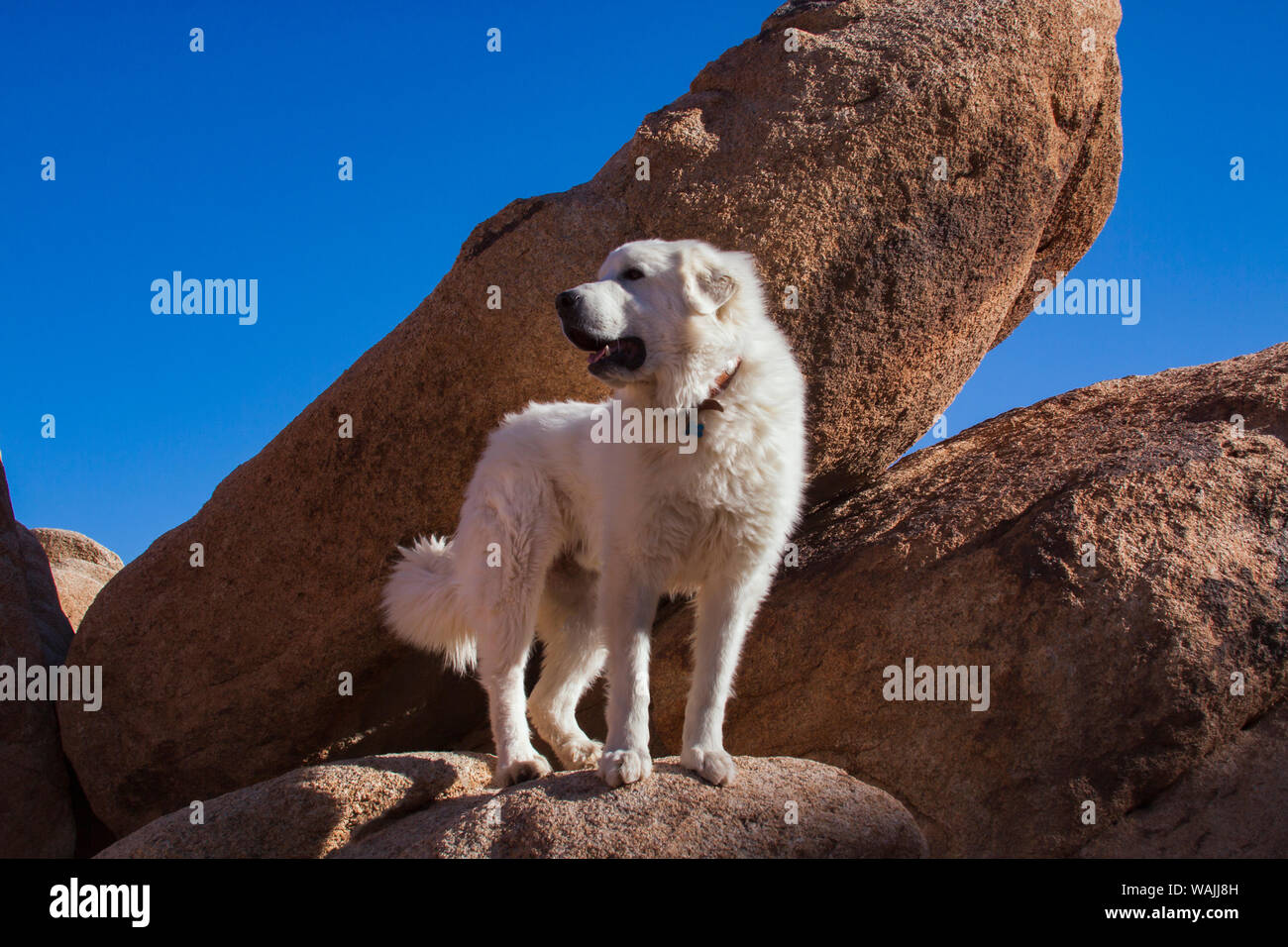 Indian cove campground hi-res stock photography and images - Alamy