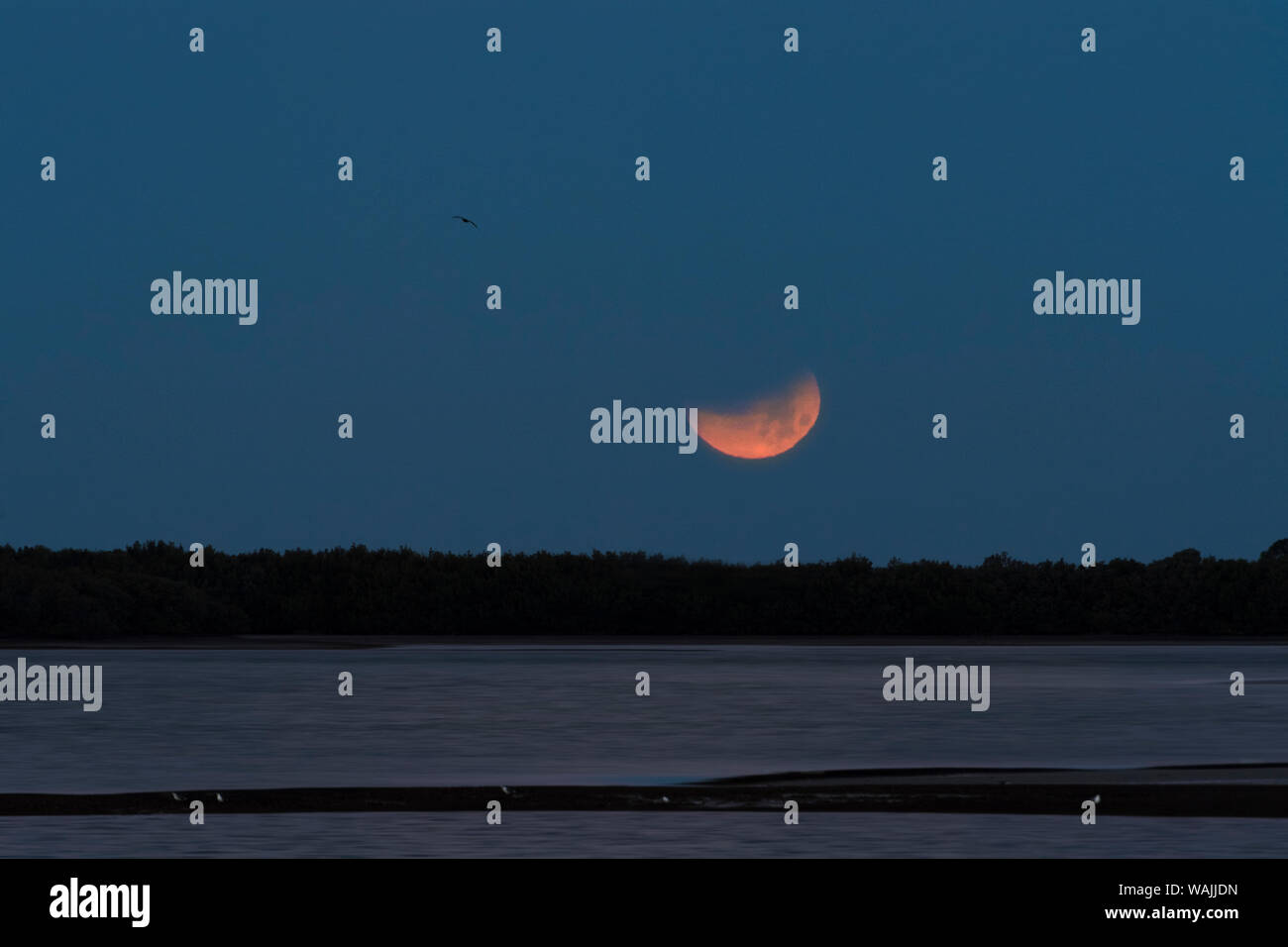 Lunar eclipse over land and water in early morning Stock Photo - Alamy