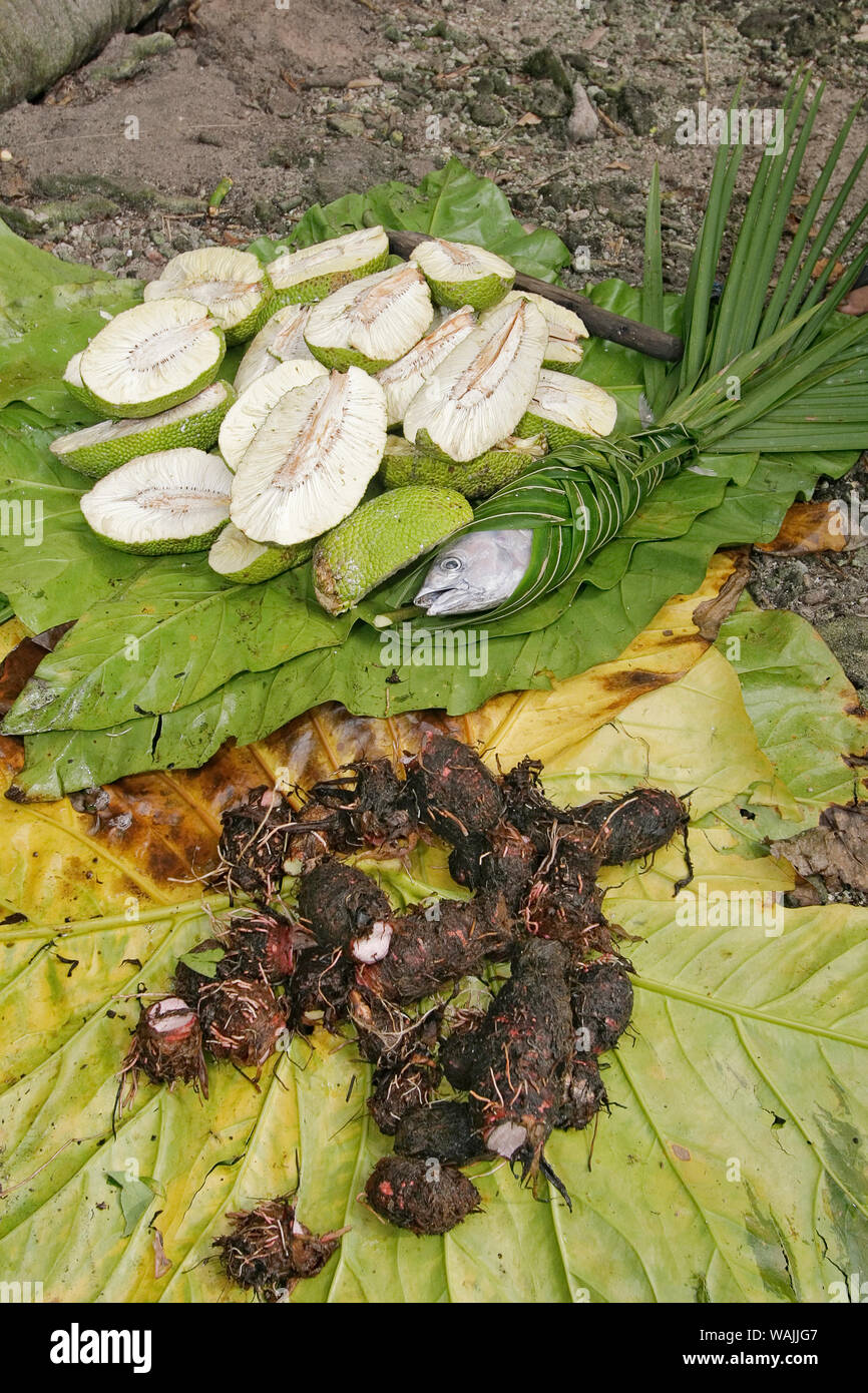 Kosrae, Micronesia. Traditional pit oven called an Um. Rocks are put in ...