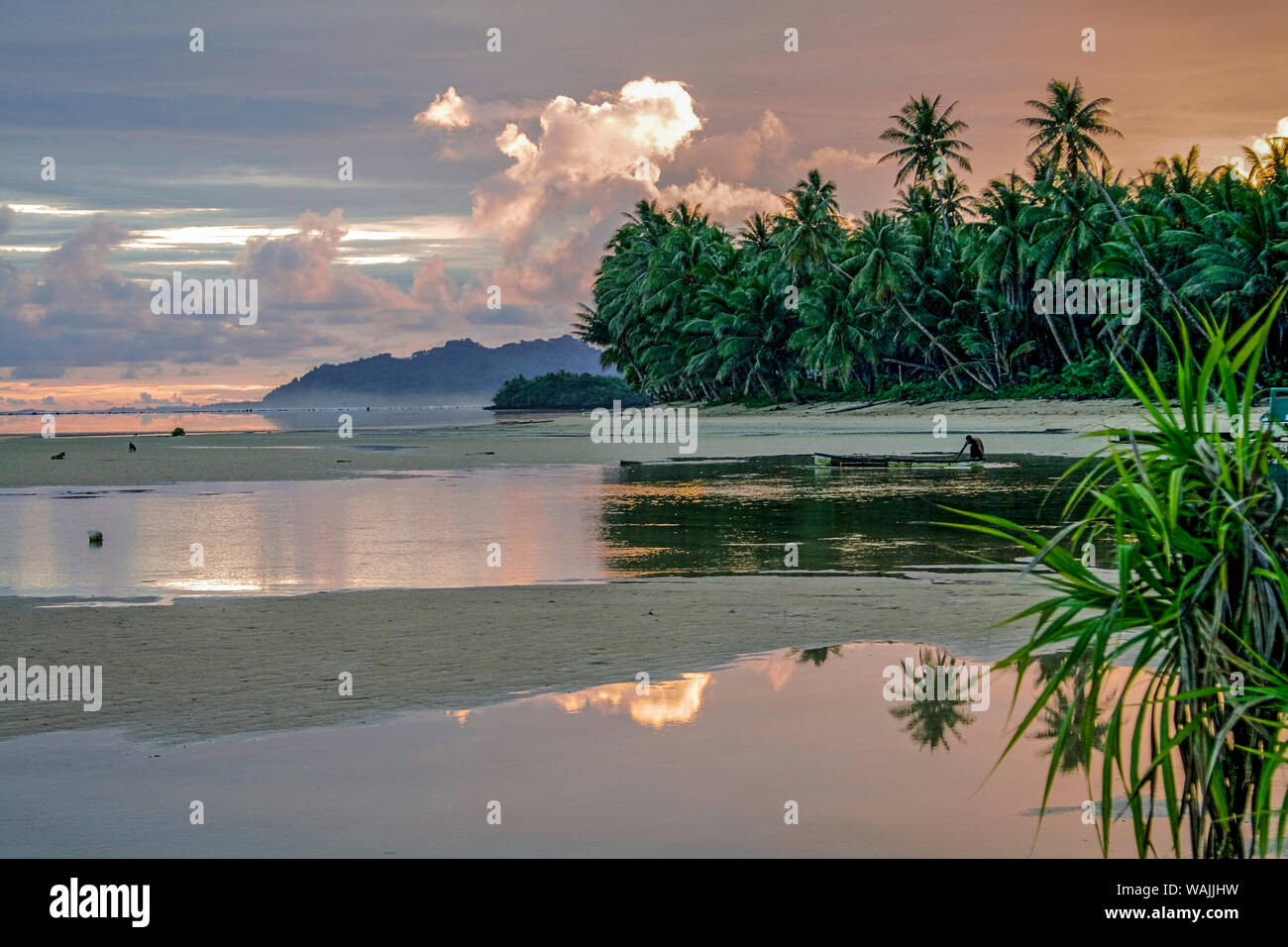 Walung, Kosrae, Micronesia. Local man prepares outrigger canoe at dawn ...