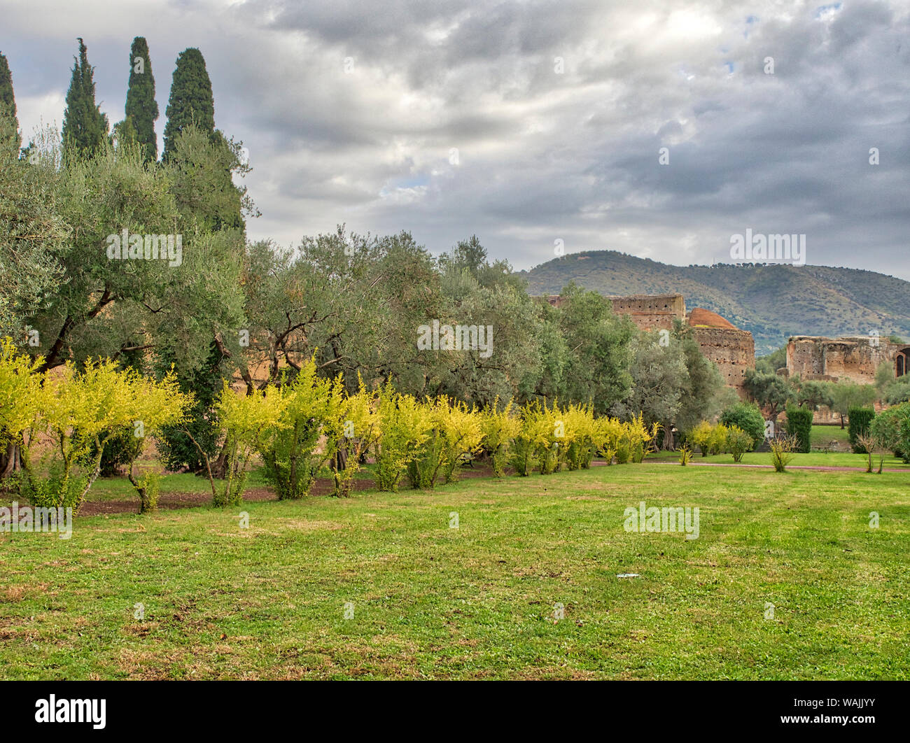 Italy, Lazio, Tivoli. The grounds of Hadrian's Villa, a UNESCO World ...
