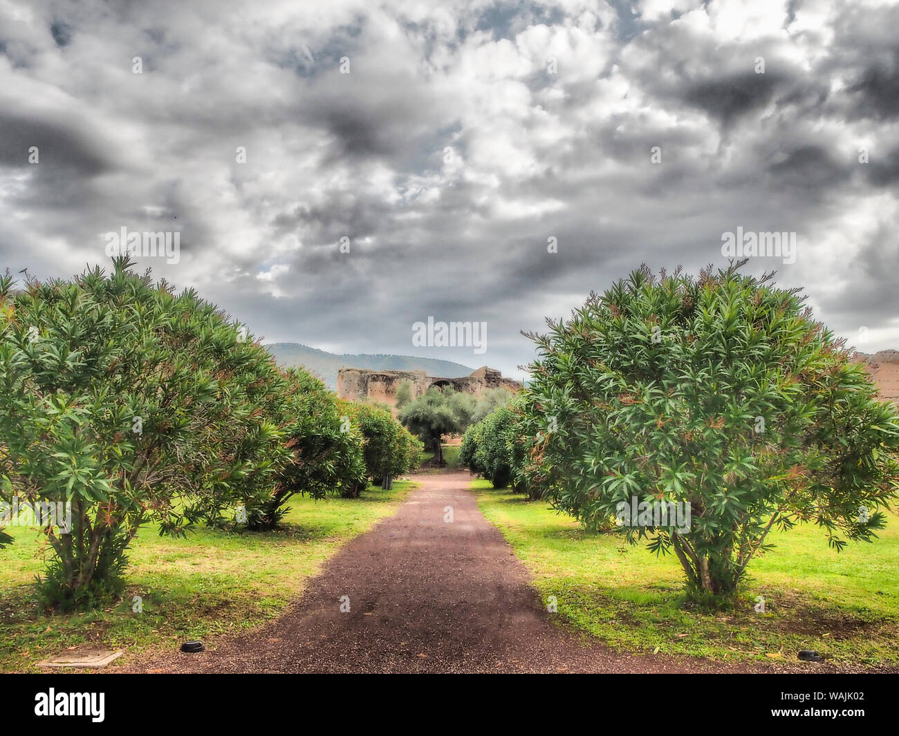 Italy, Lazio, Tivoli. The grounds of Hadrian's Villa, a UNESCO World ...