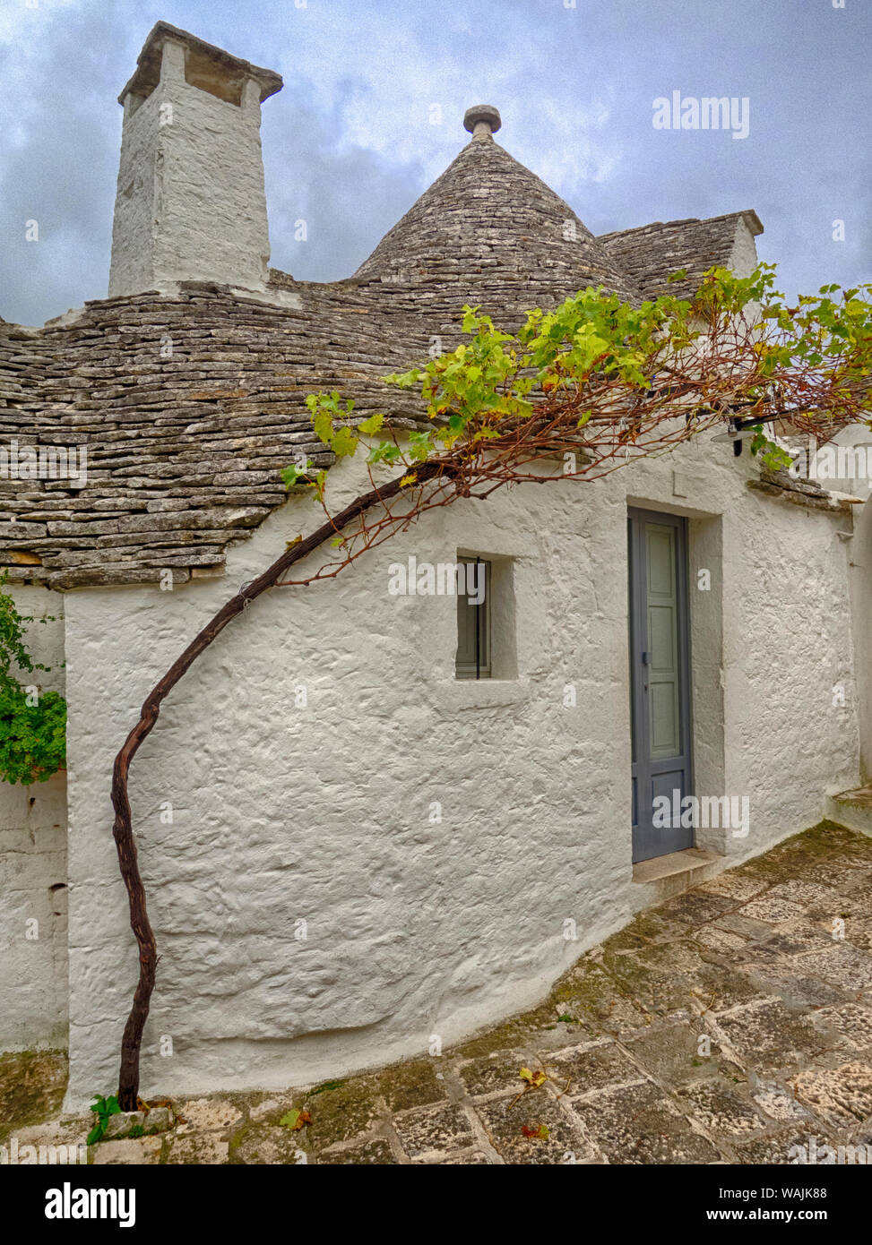 Italy, Alberobello. Typical trulli houses in Alberobello Stock Photo ...