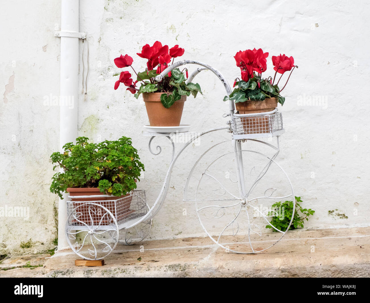 Italy, Alberobello. Bicycle planter with potted flowers Stock Photo - Alamy