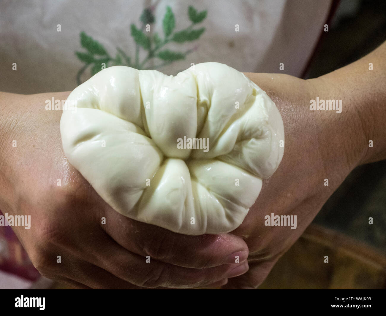 Italy, Alberobello. A display of making fresh mozzarella in a farmhouse ...