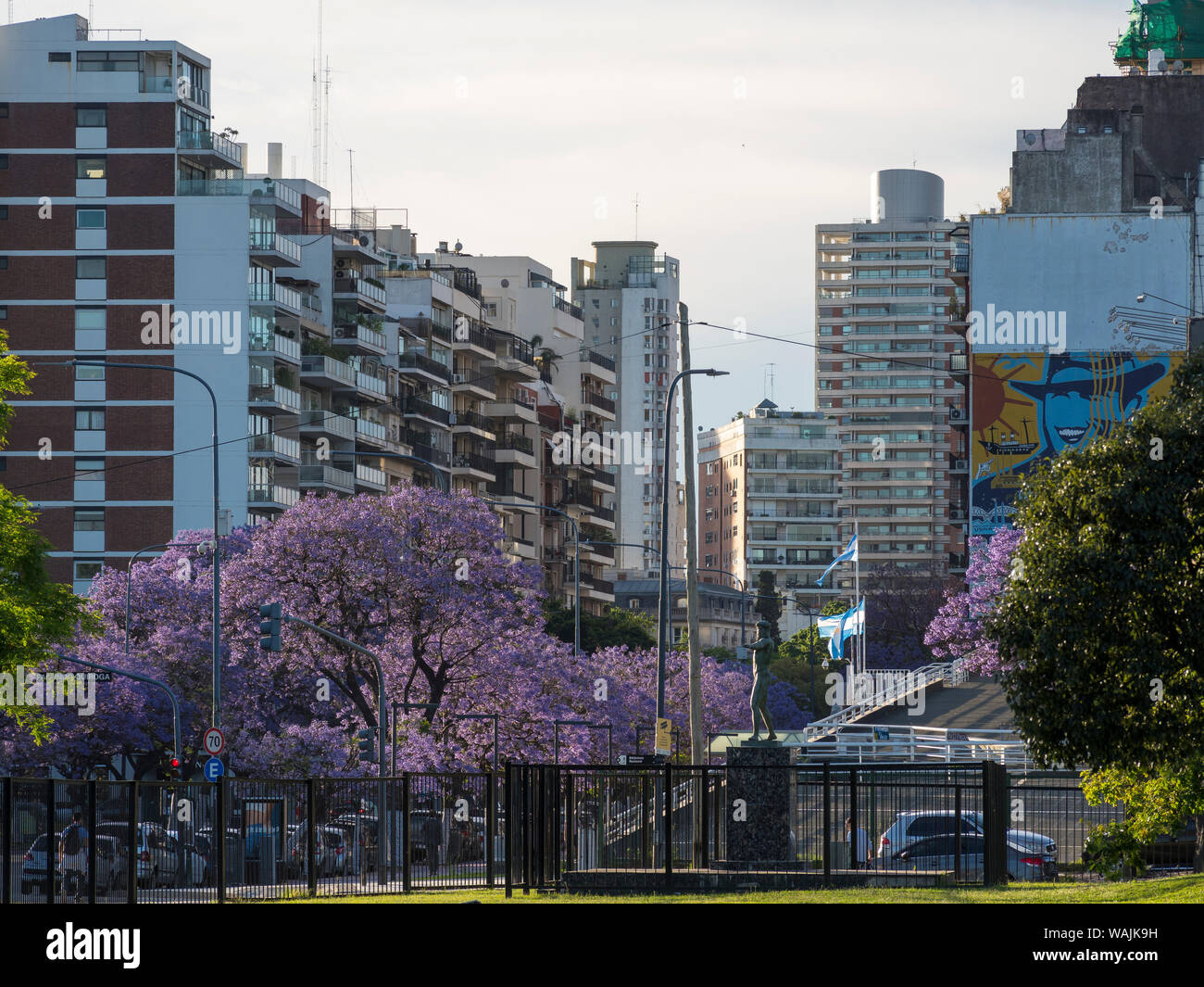 Jacaranda buenos aires hi-res stock photography and images - Alamy