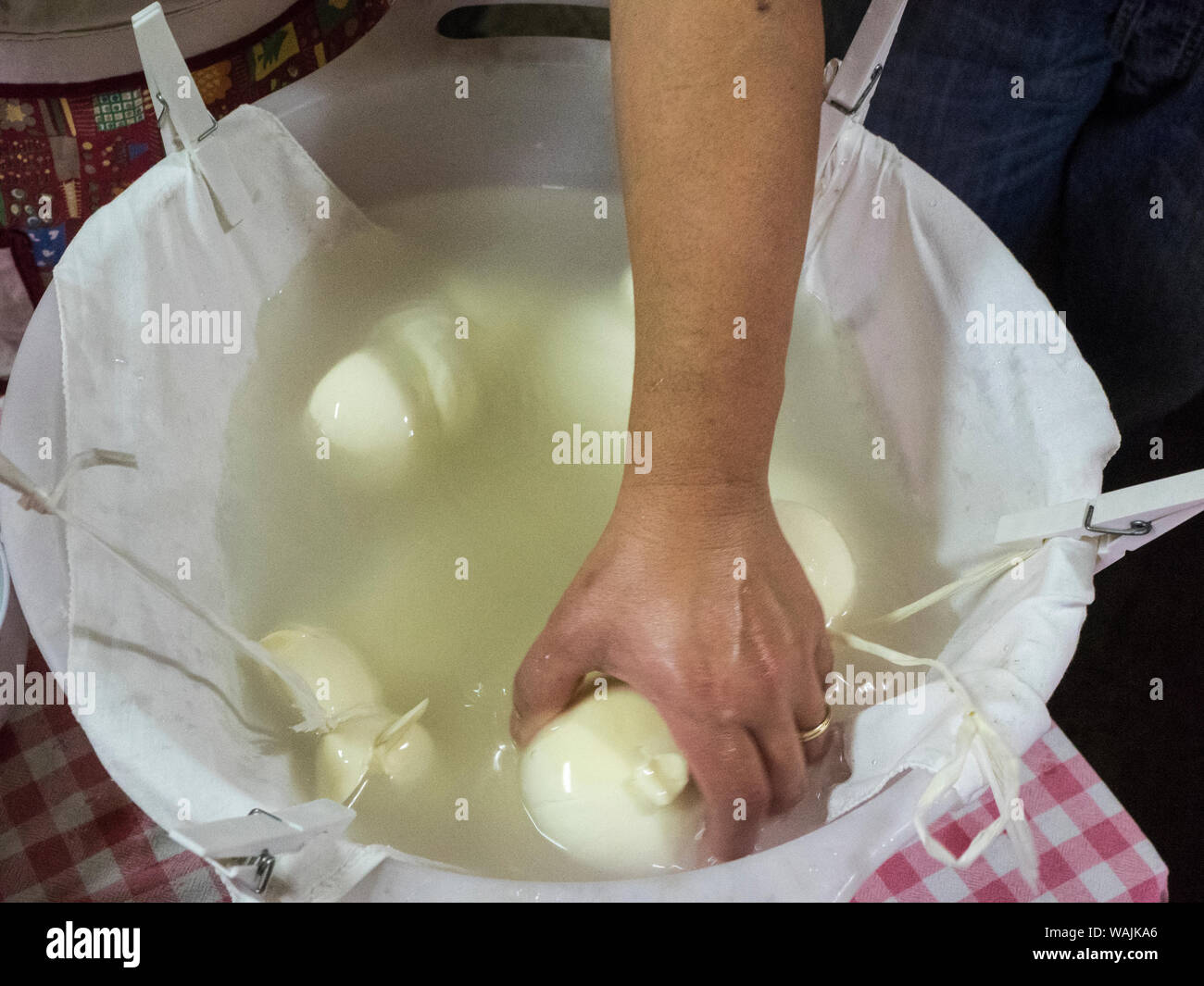 Italy, Alberobello. A display of making fresh mozzarella in a farmhouse ...