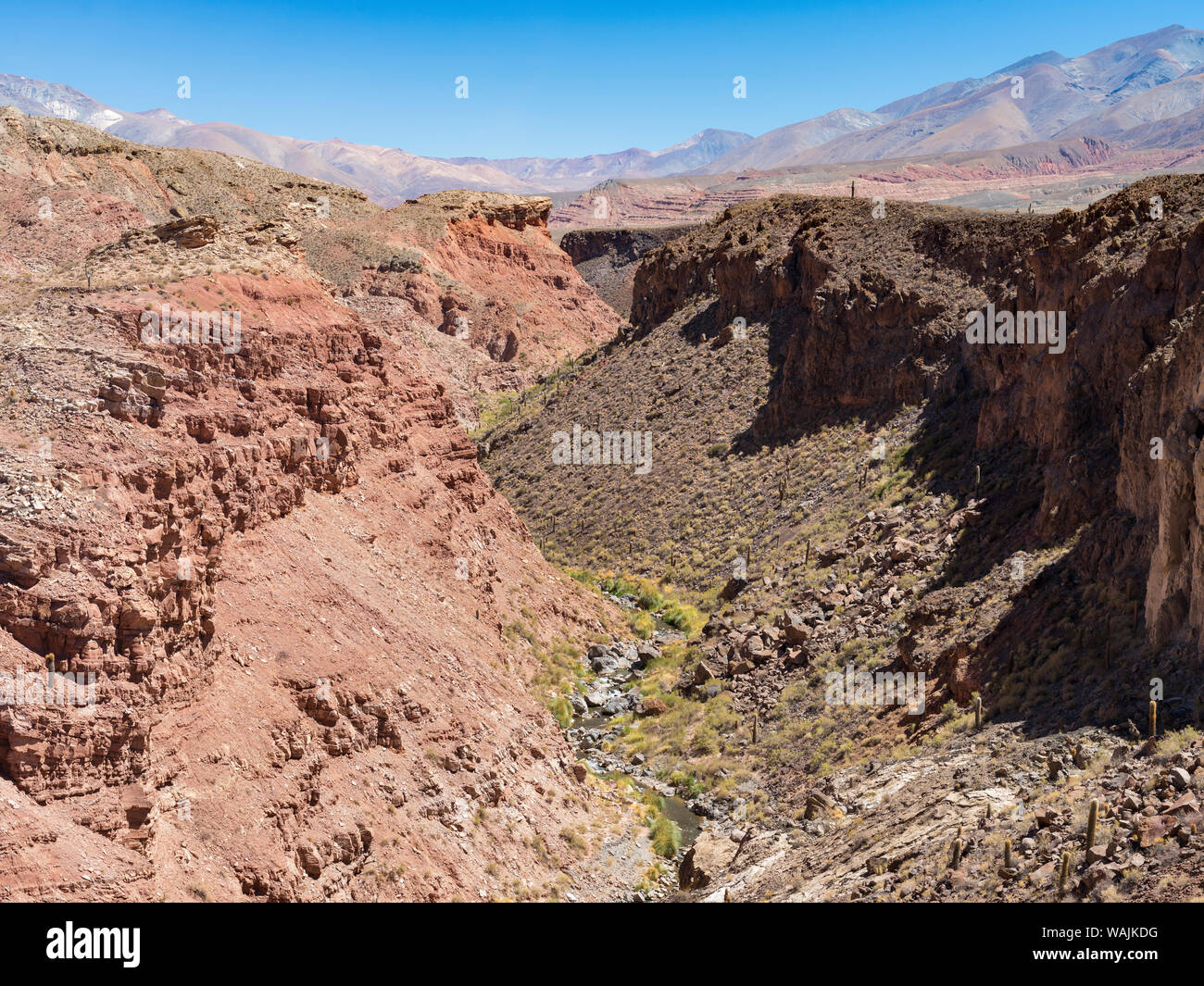 Rio Calchaqui canyon at Puente del Diablo. The Altiplano in Argentina ...