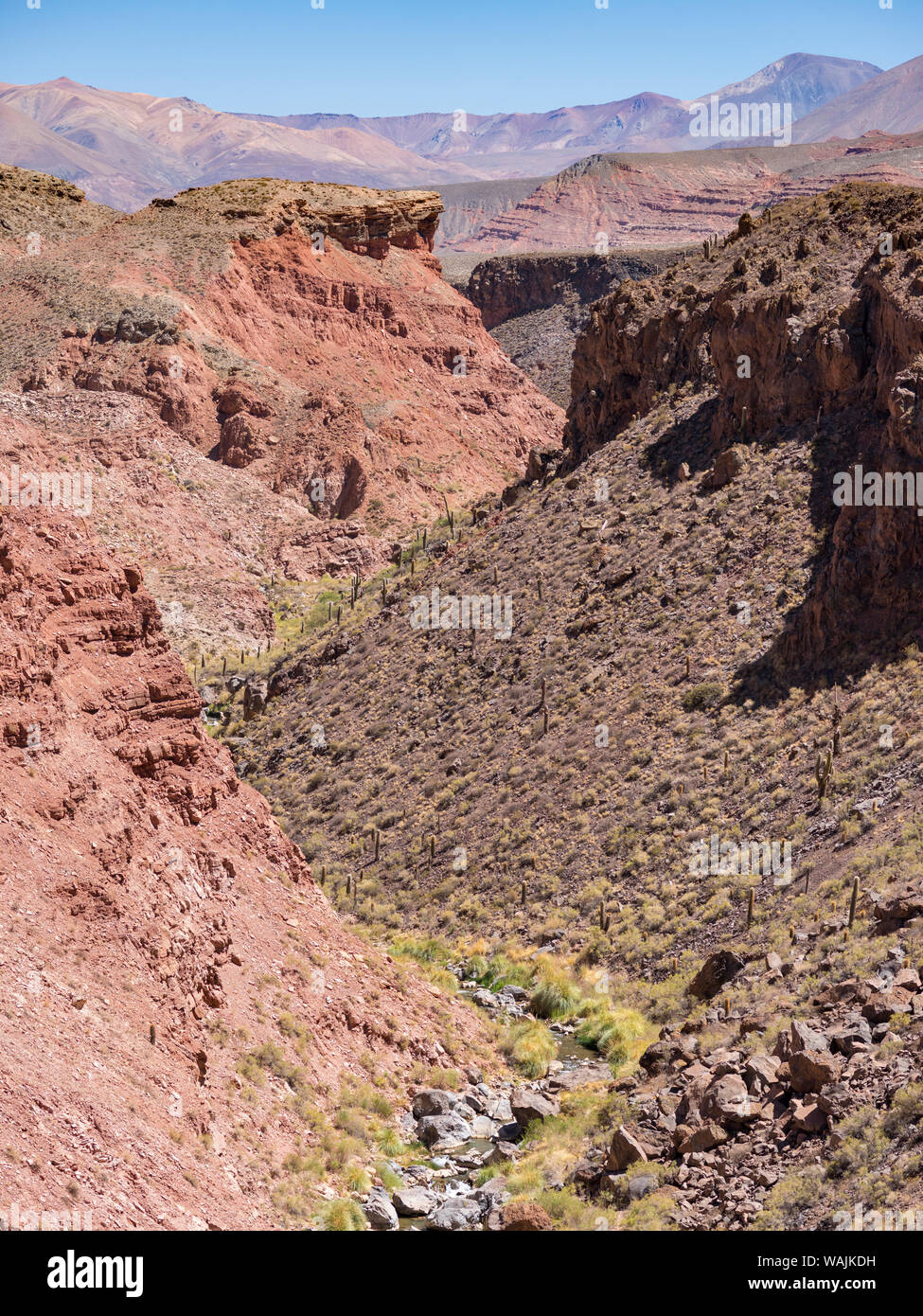 Rio Calchaqui canyon at Puente del Diablo. The Altiplano in Argentina ...