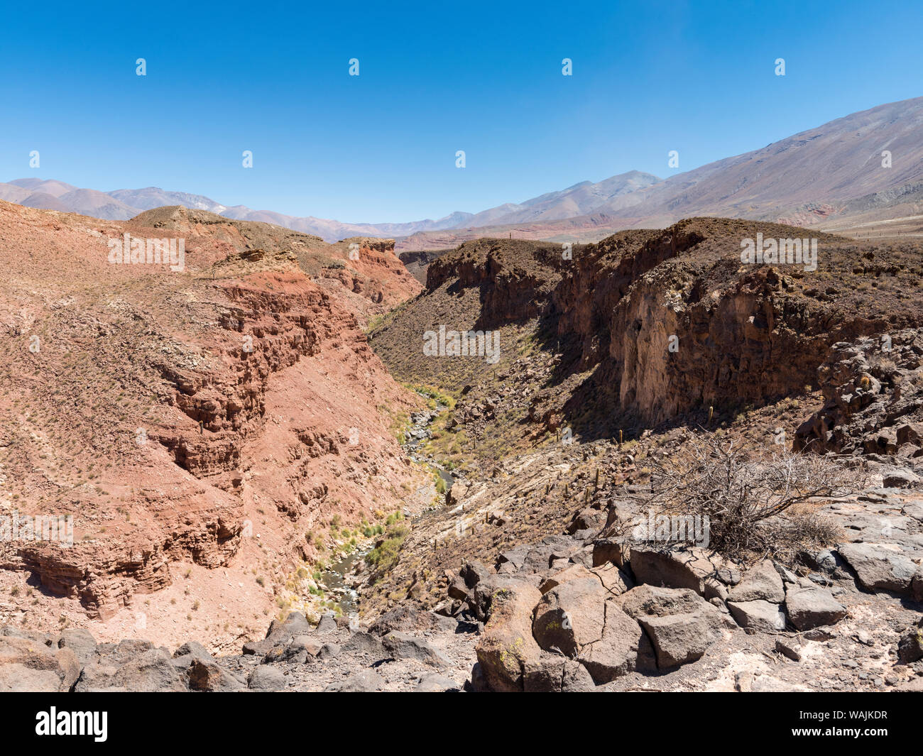 Rio Calchaqui canyon at Puente del Diablo. The Altiplano in Argentina ...