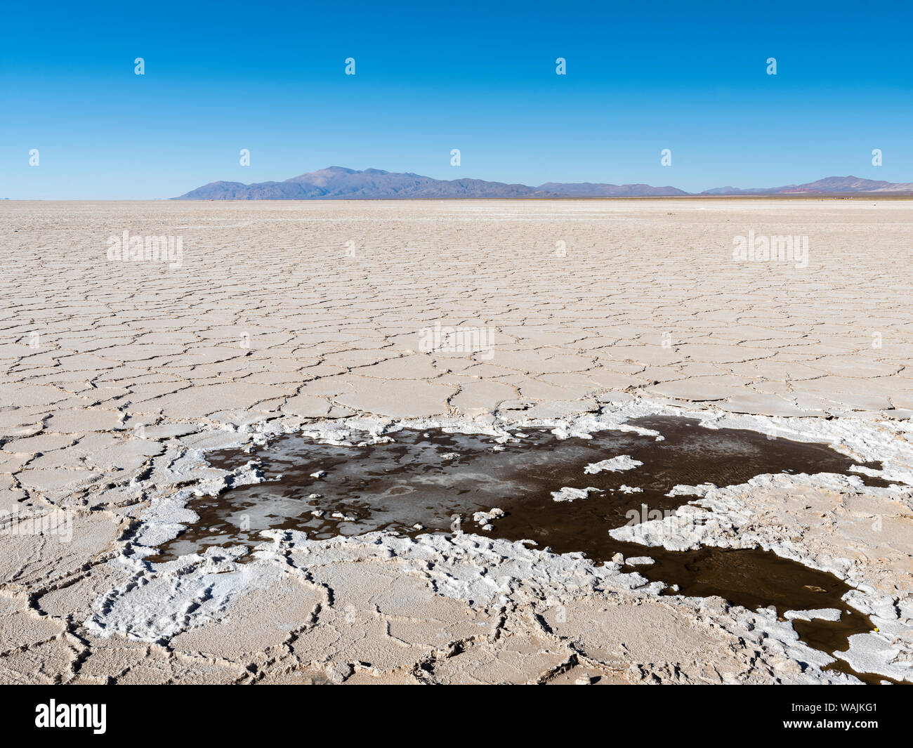 Surface of the Salar. Landscape on Salinas Grandes salt flats in the ...